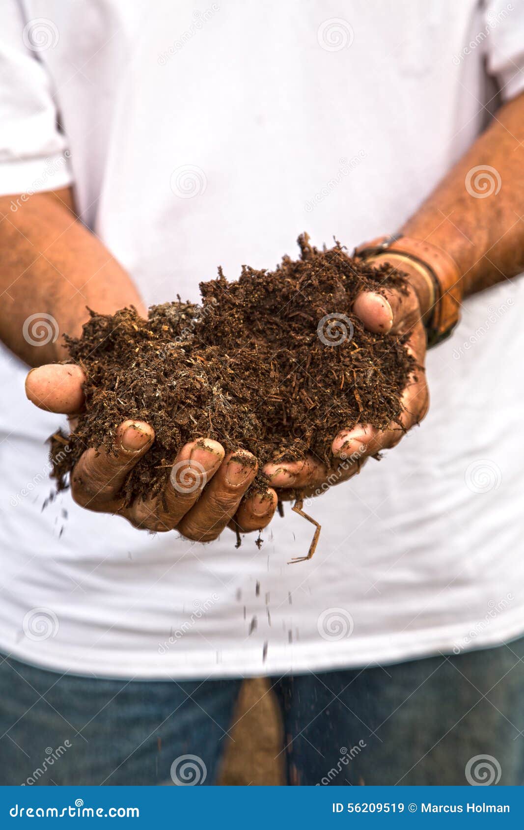 Organic manure stock image. Image of growth, freshness - 56209519