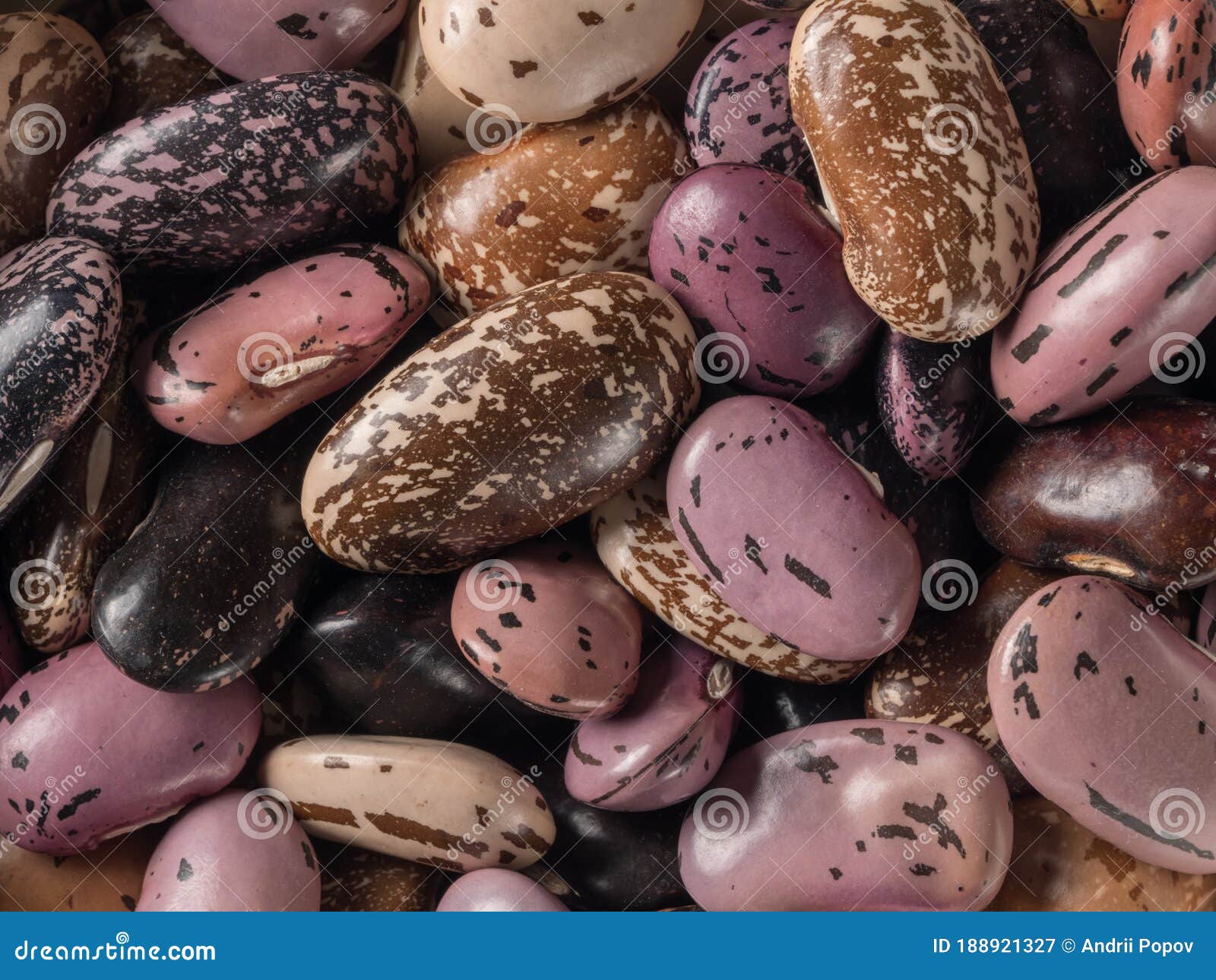 Organic Marble Beans Closeup. the View from the Top Stock Image - Image ...