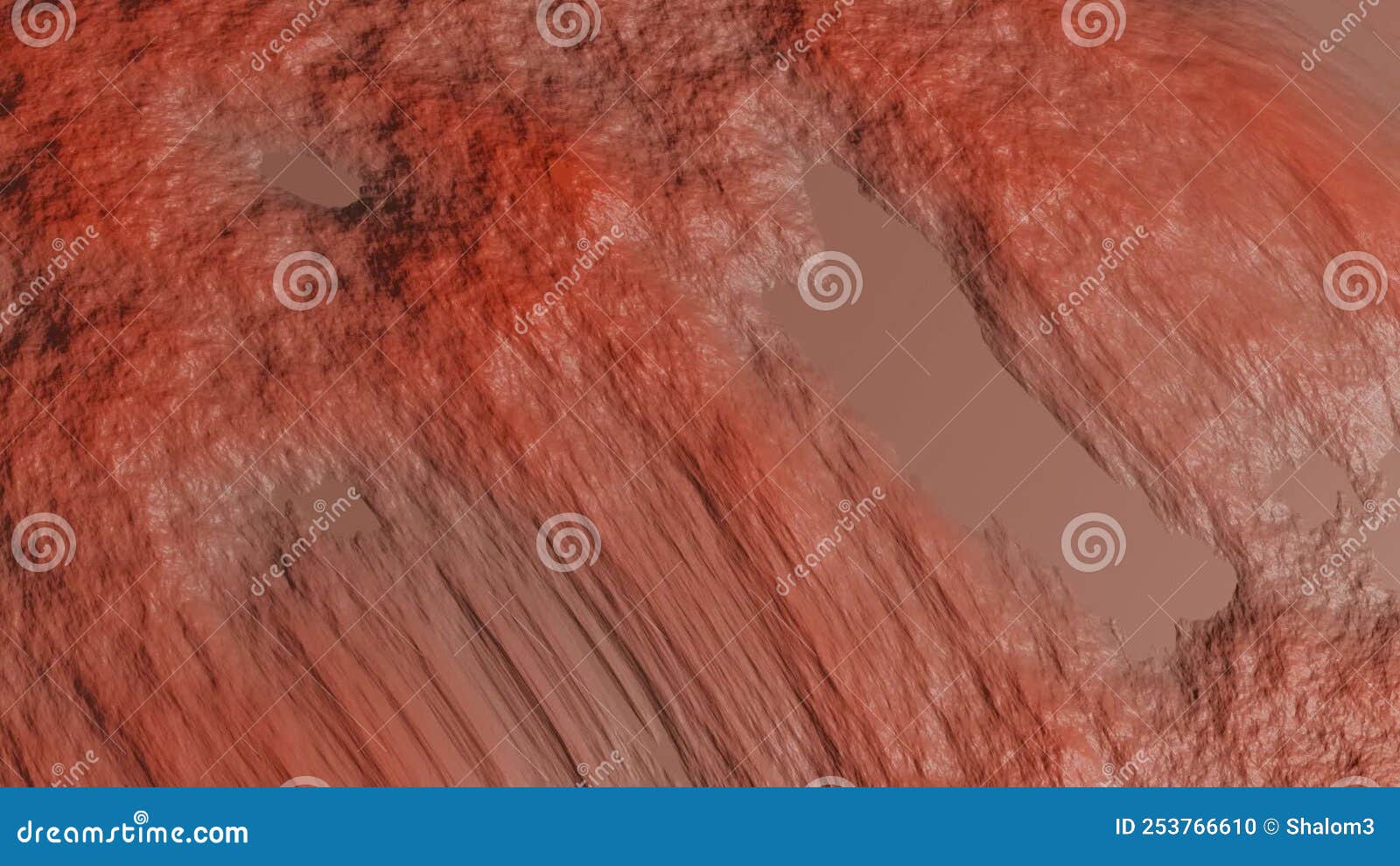 Organic Material Resembling Muscle Tissue Under a Microscope or ...