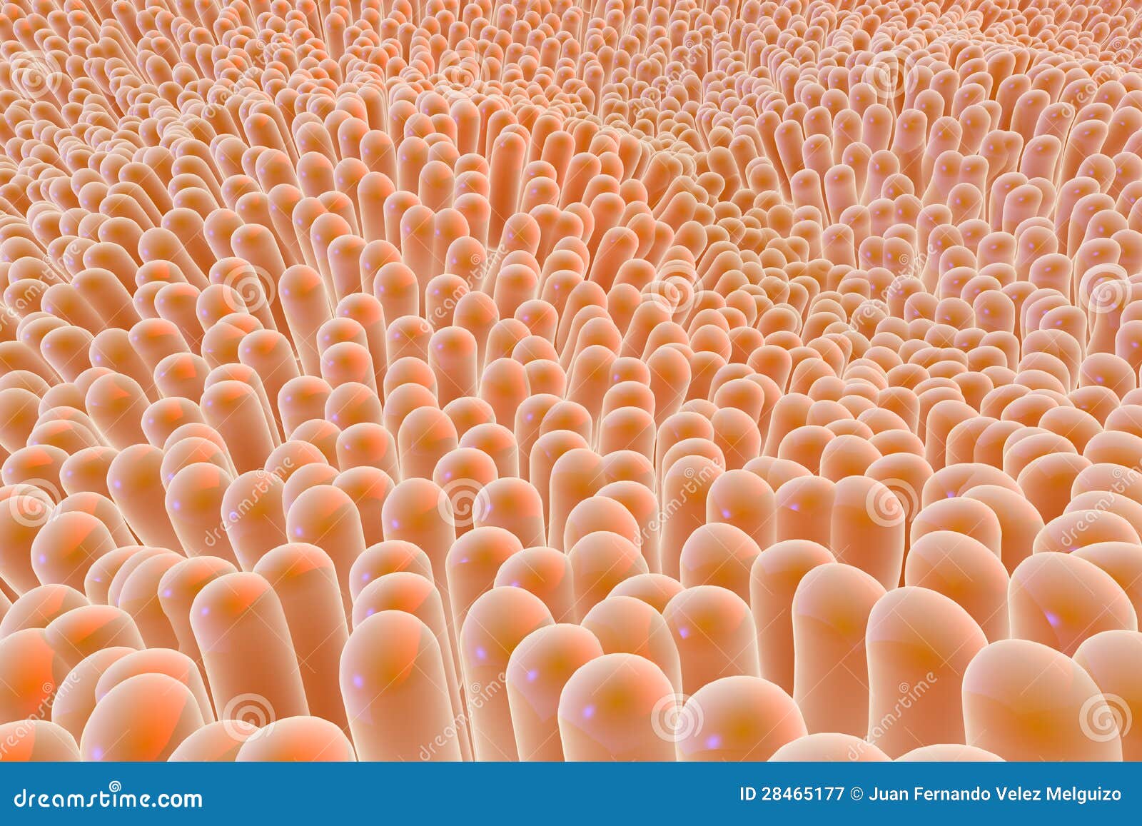 Organic Microscopic Tissue Fibers Stock Illustration - Illustration of ...