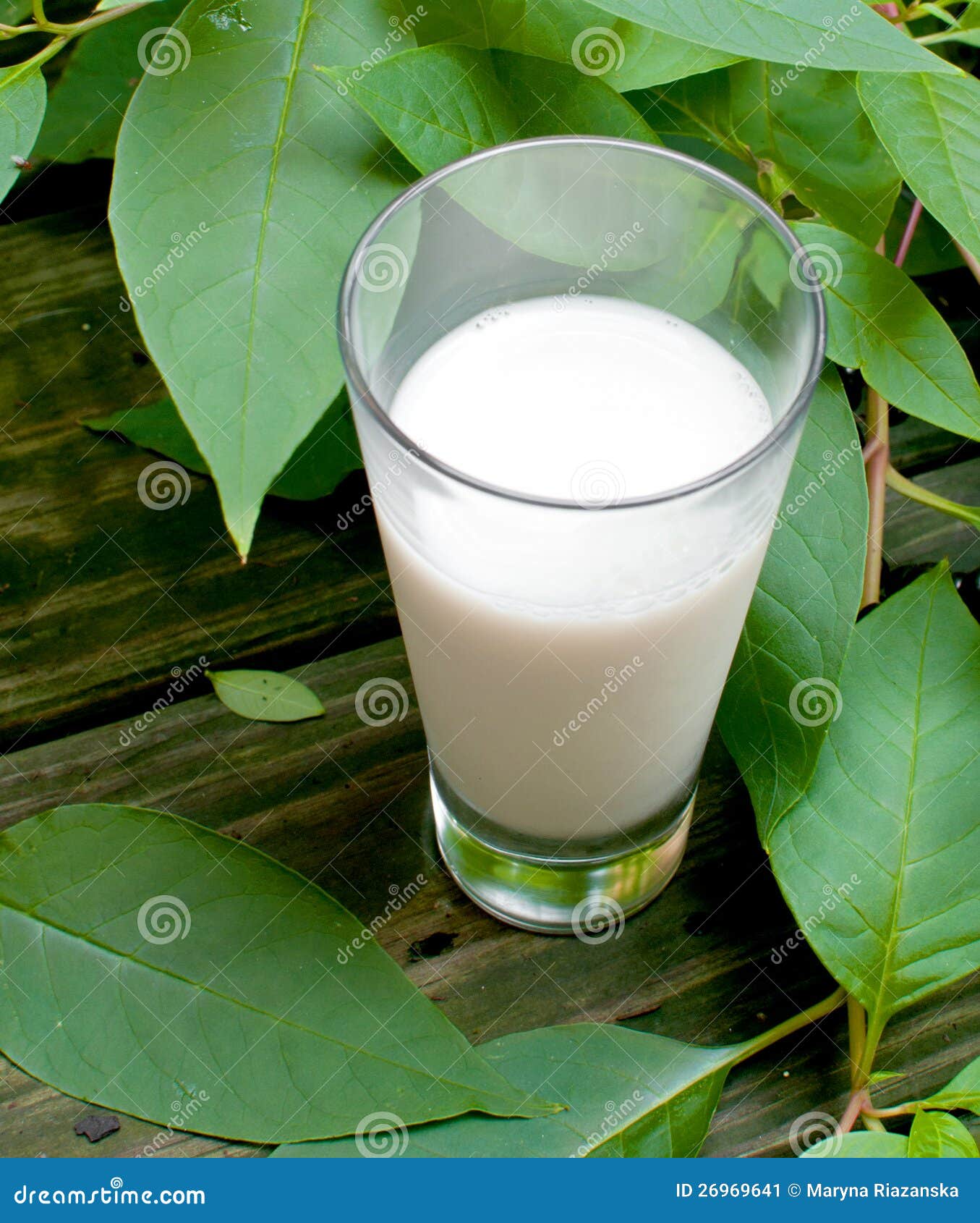 Organic Milk with Green Leaves Background Stock Image - Image of ...