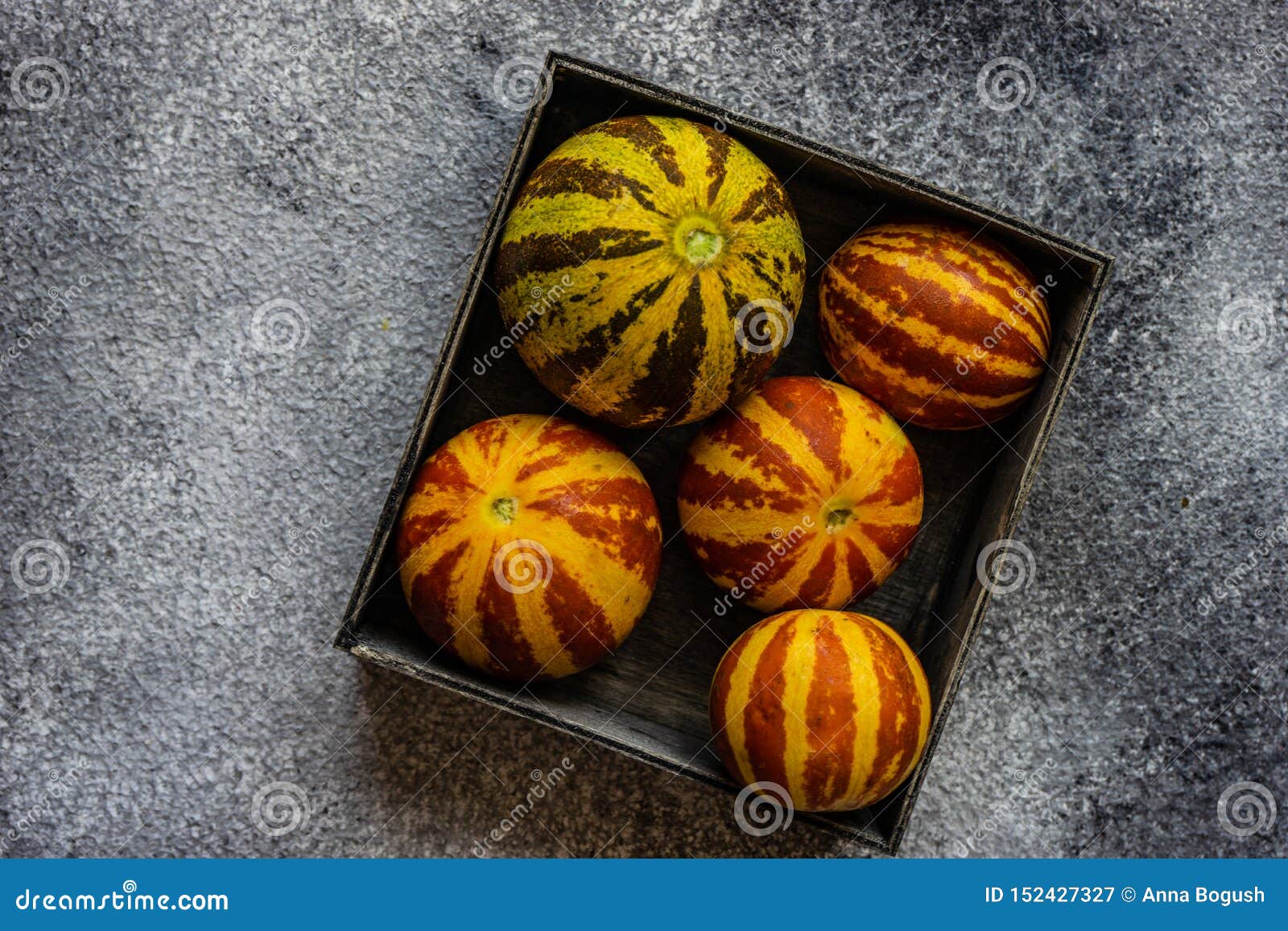 Organic mini melons stock image. Image of plant, gourmet - 152427327