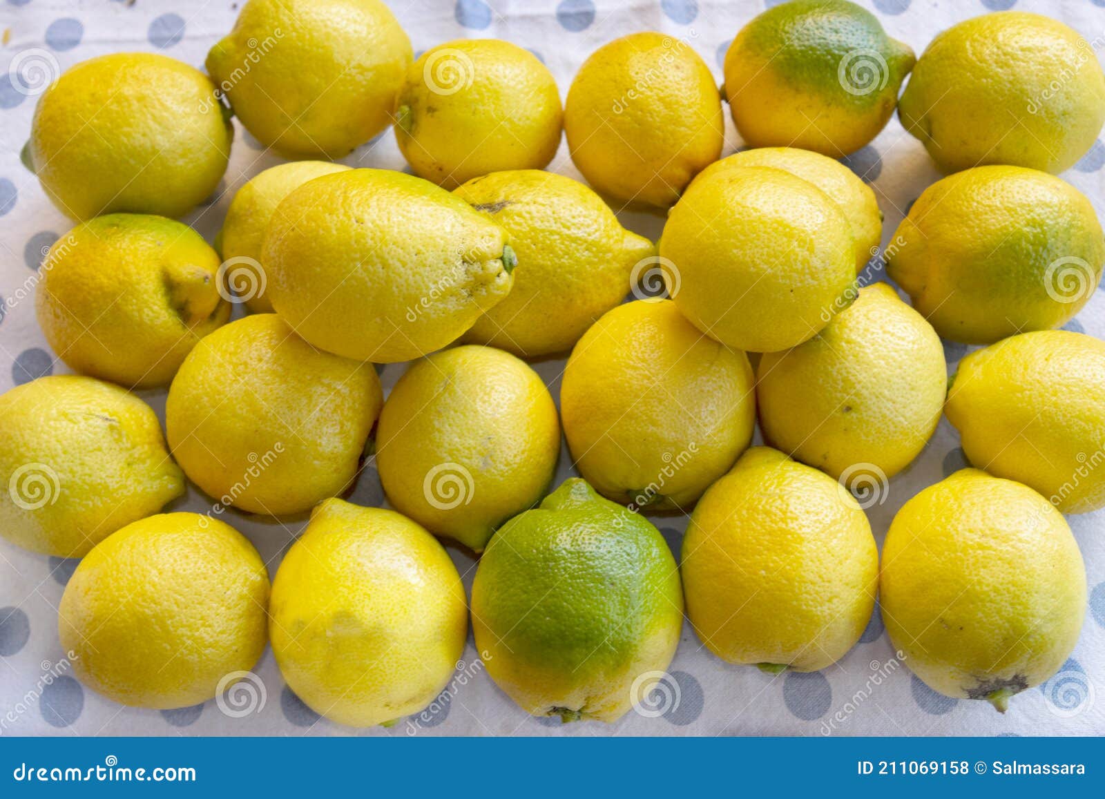 Organic and natural lemon stock photo. Image of green - 211069158
