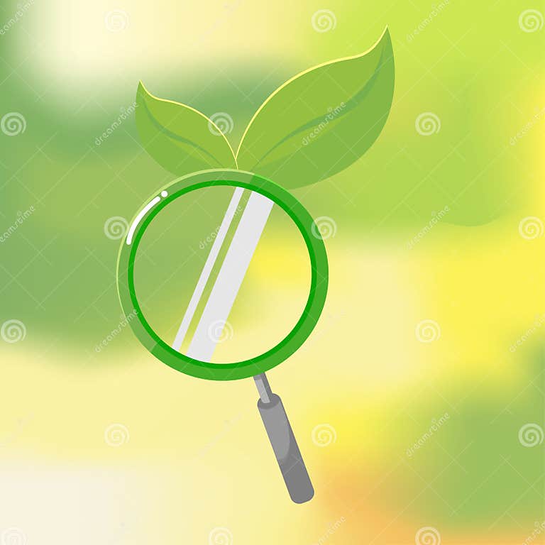 Organic Nature Lens Leaf Search Stock Vector - Illustration of glass ...