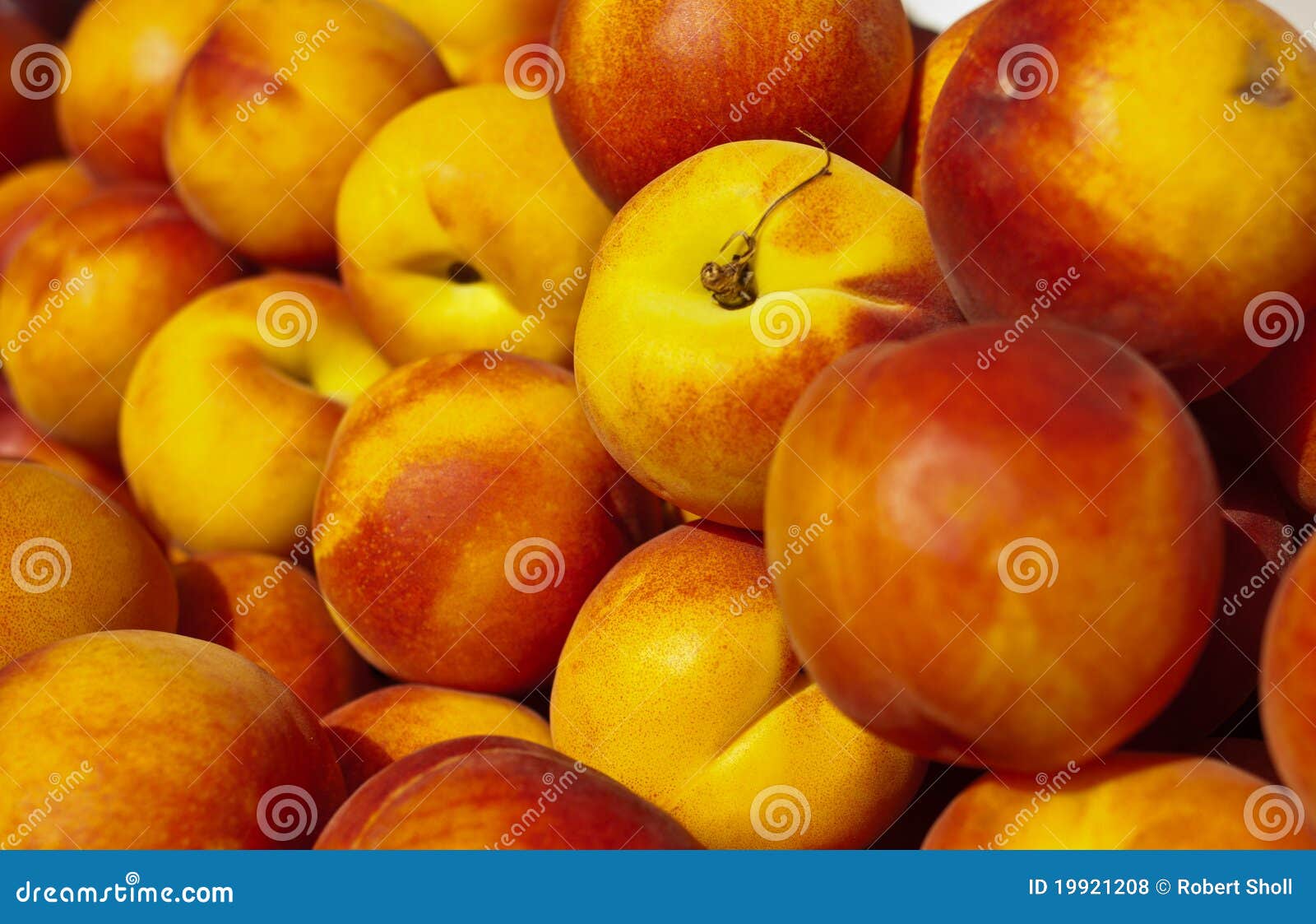 Organic Nectarines stock photo. Image of yellow, ready - 19921208