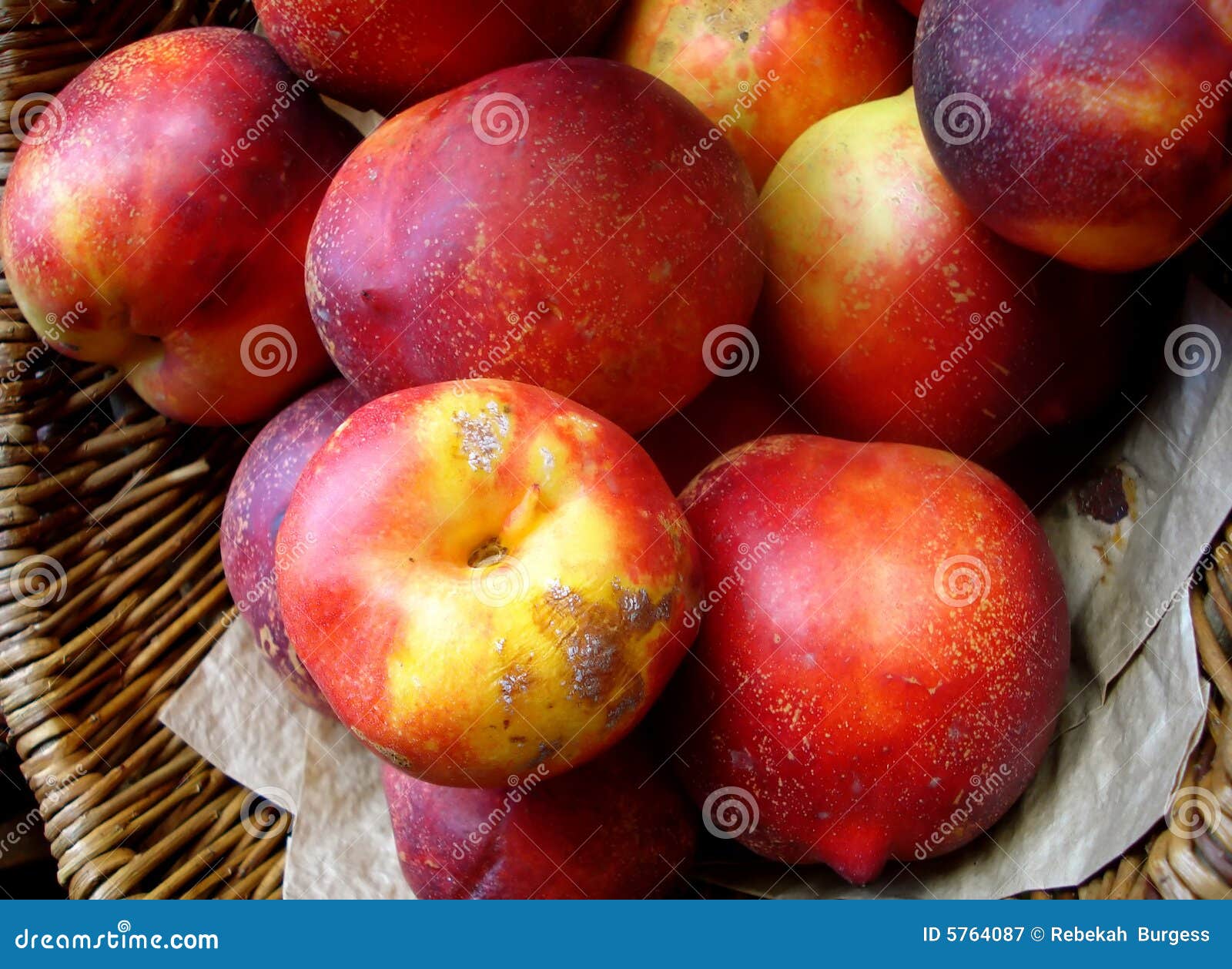 Organic Nectarines stock image. Image of bunch, bunches - 5764087