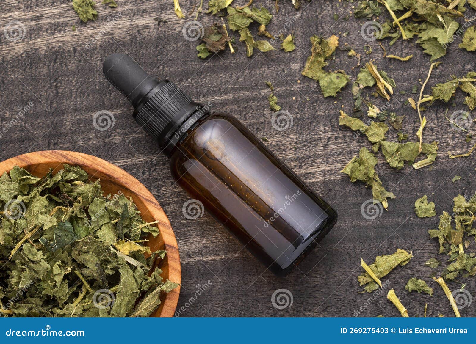 Organic Nettle Plant Extract - Urtica Medicinal Stock Image - Image of ...