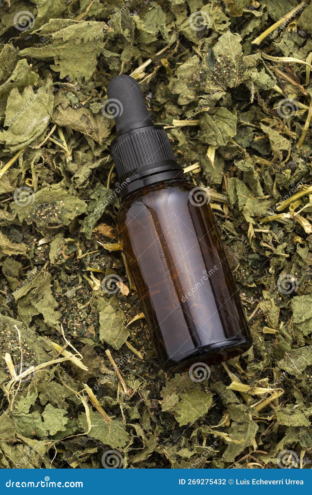 Organic Nettle Plant Extract - Urtica Medicinal Stock Photo - Image of ...