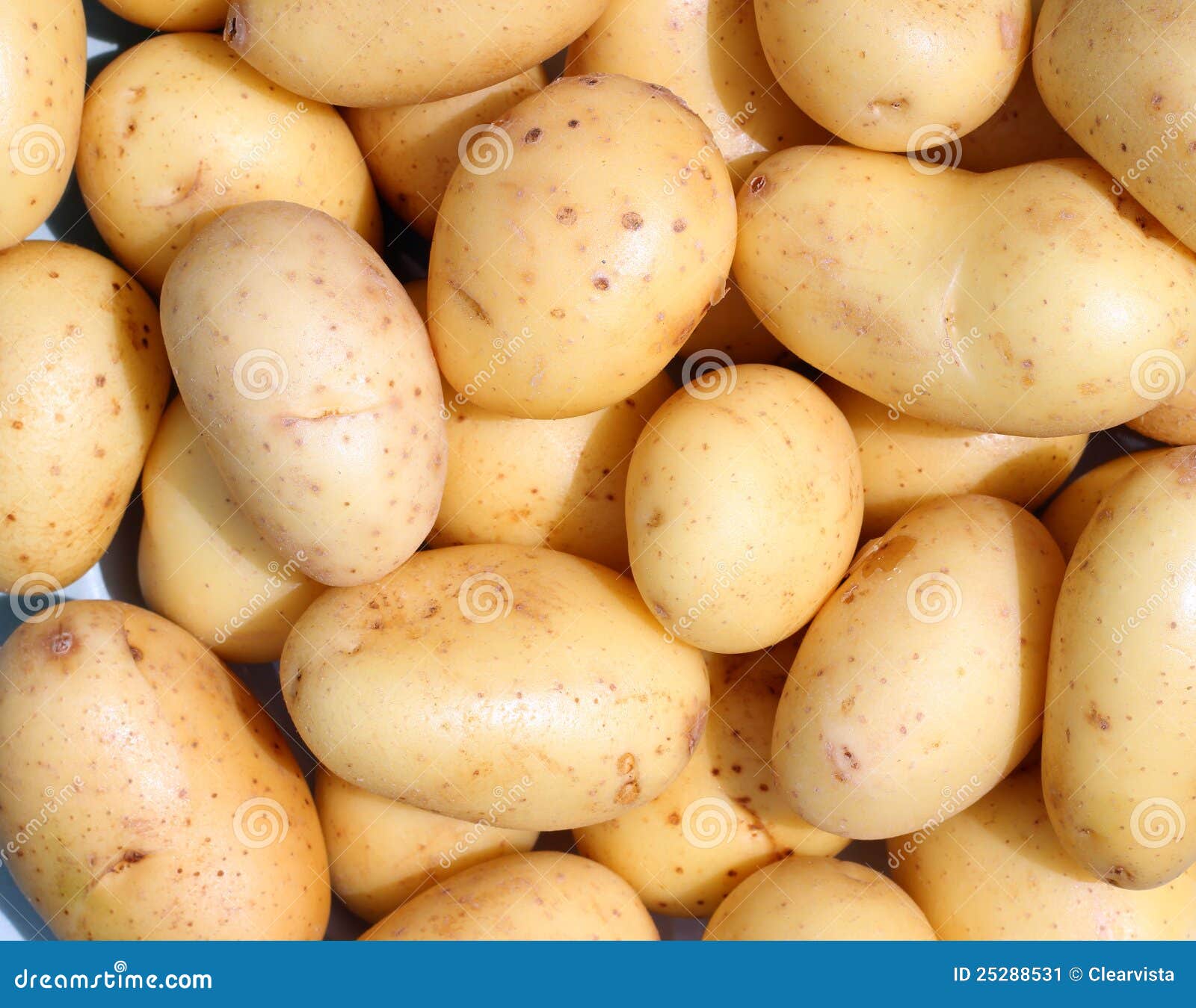 Organic new potatoes. stock image. Image of organic, healthy - 25288531