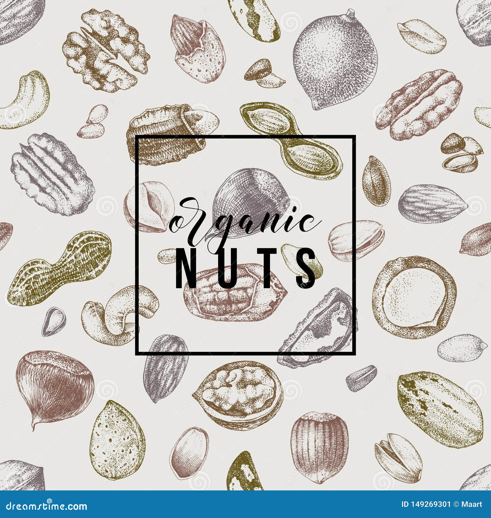 Organic Nuts Emblem Over Seamless Pattern with Hand Drawn Nuts Stock ...