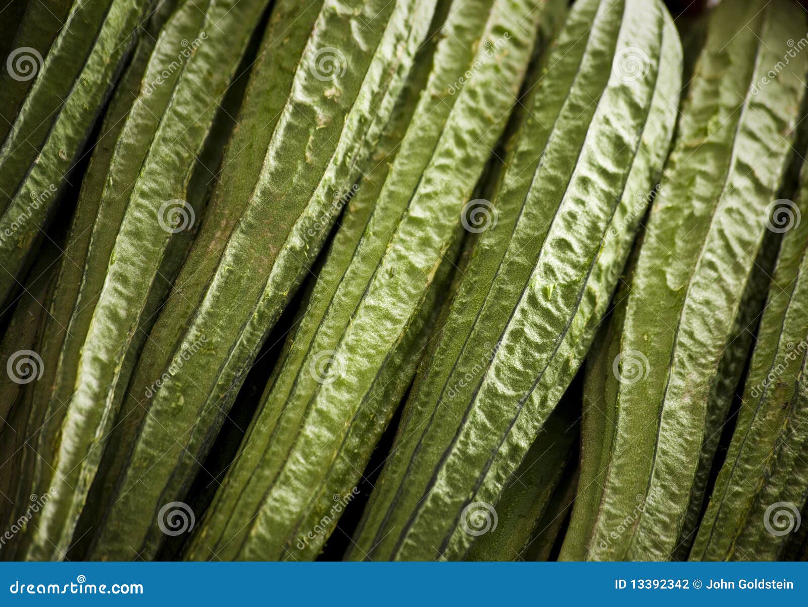 Organic Okra Display at Market Stock Photo - Image of green, ripe: 13392342