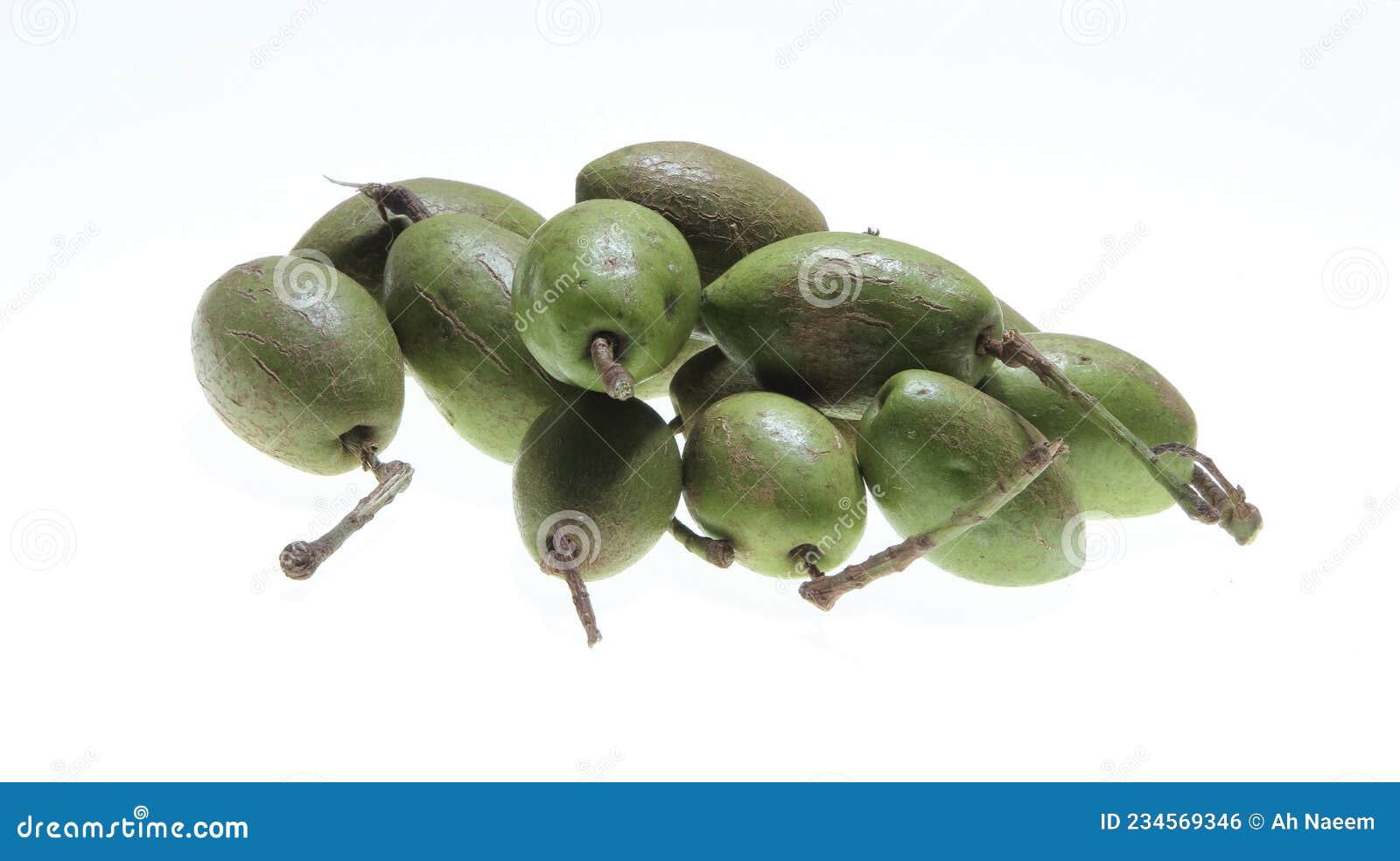 Organic Olive or Jalpai Isolated on a White Background with Enough Copy ...