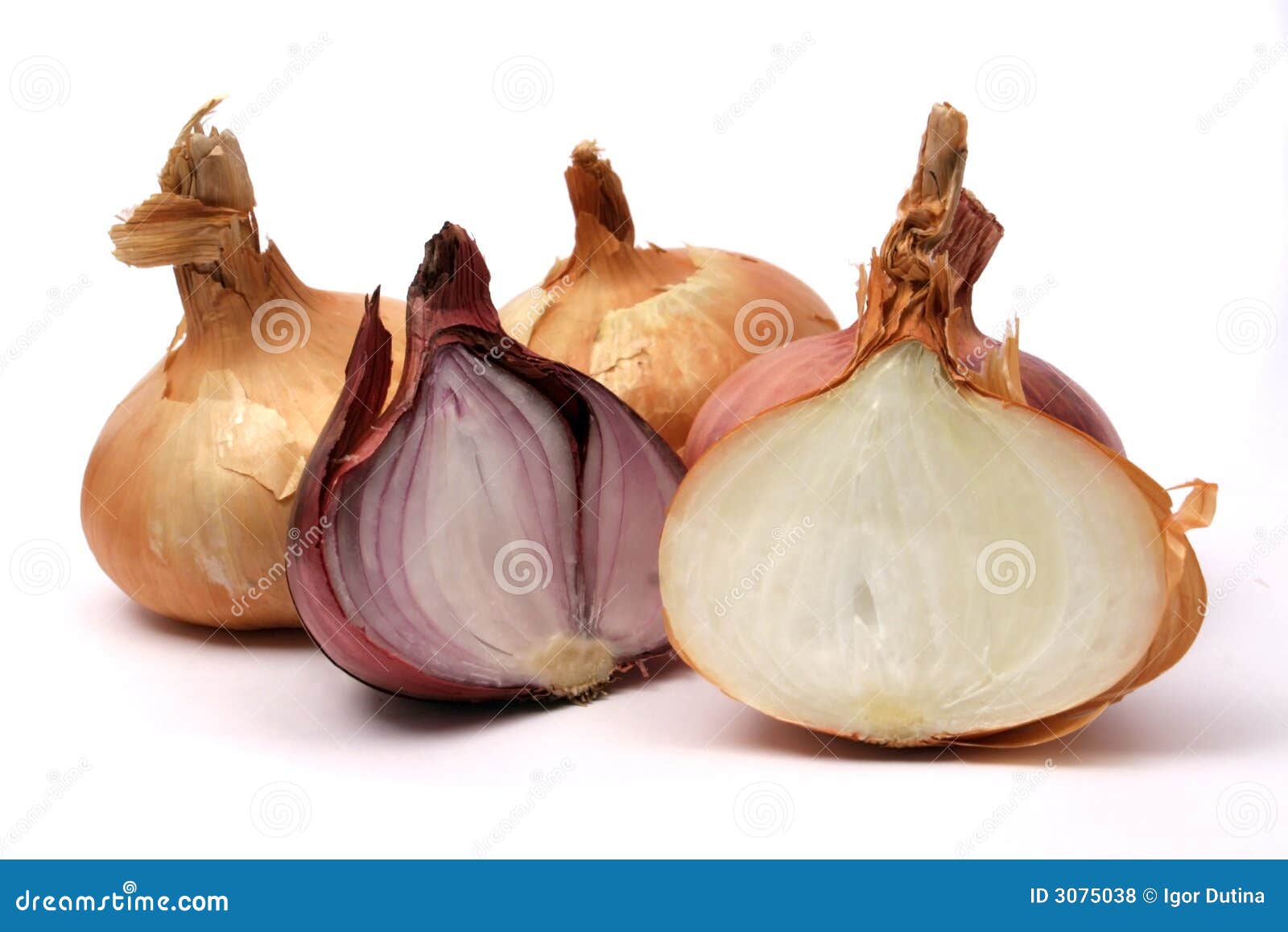 Organic onion stock photo. Image of aroma, healthy, mediterranean - 3075038