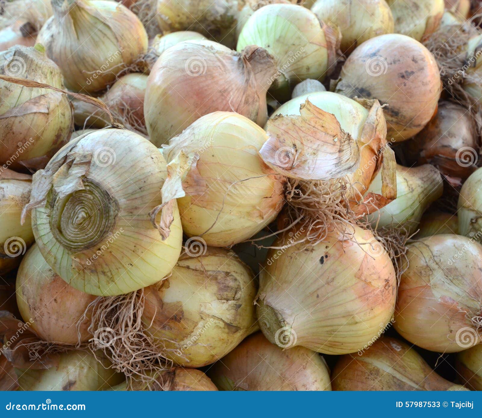Organic onion stock image. Image of healthy, bunch, precious - 57987533