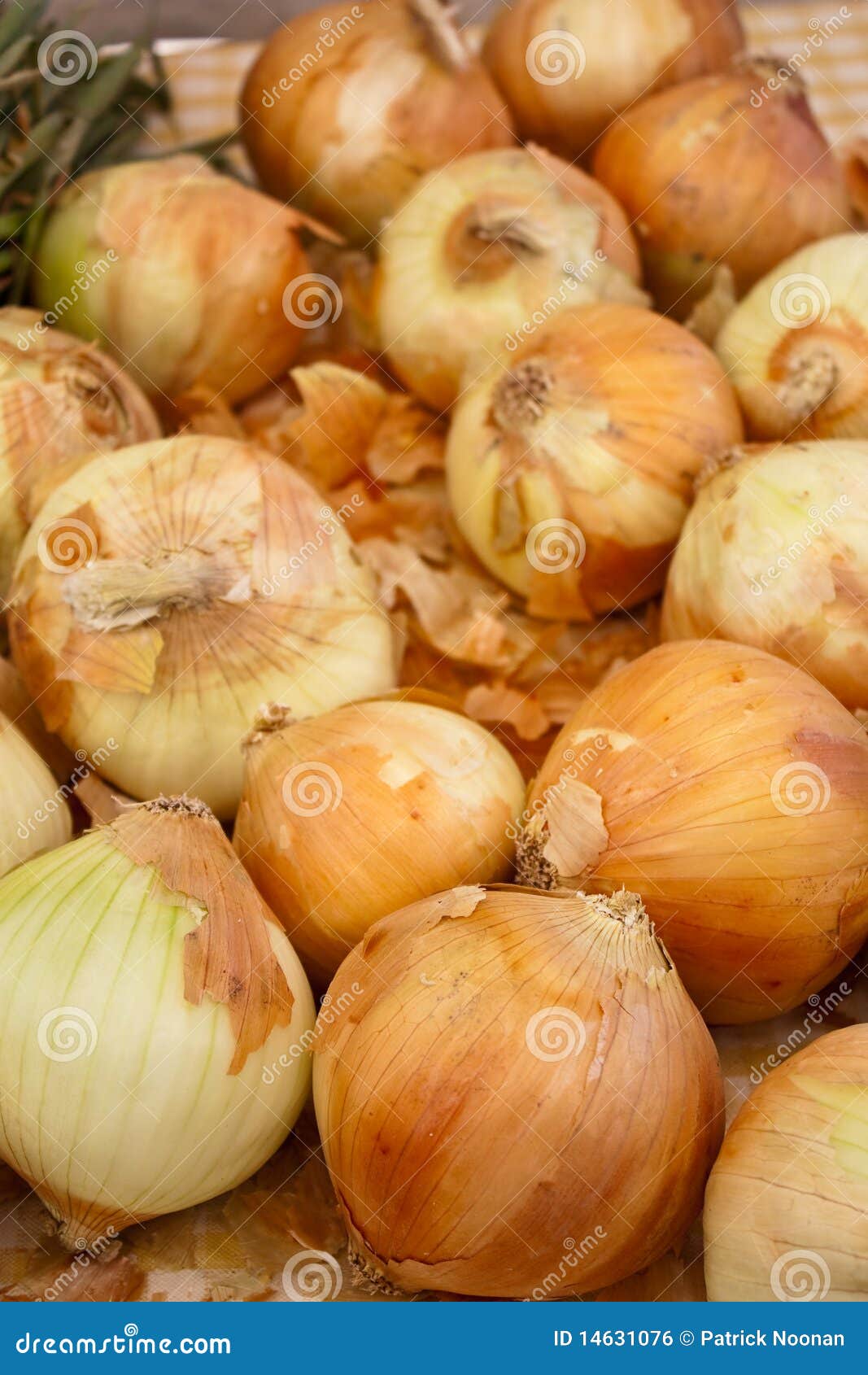 Organic Onions stock photo. Image of yummy, diet, grown - 14631076