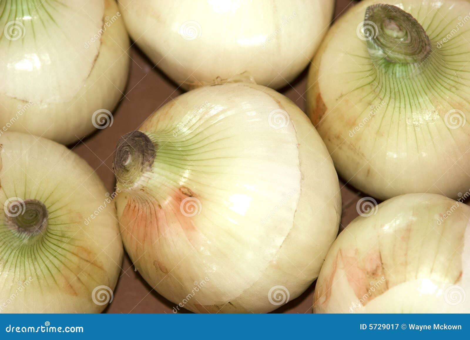 Organic Onions stock image. Image of chopping, food, green - 5729017