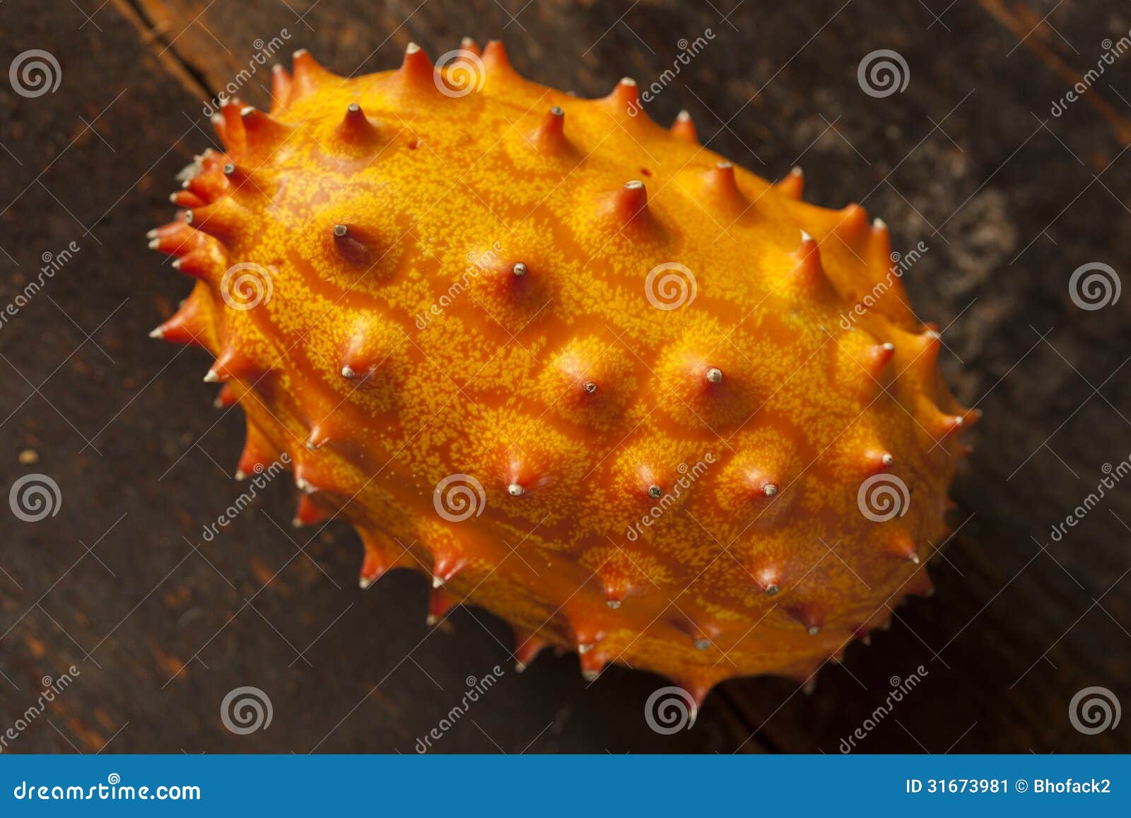Organic Orange Kiwano Melon Stock Image - Image of dessert, seeds: 31673981