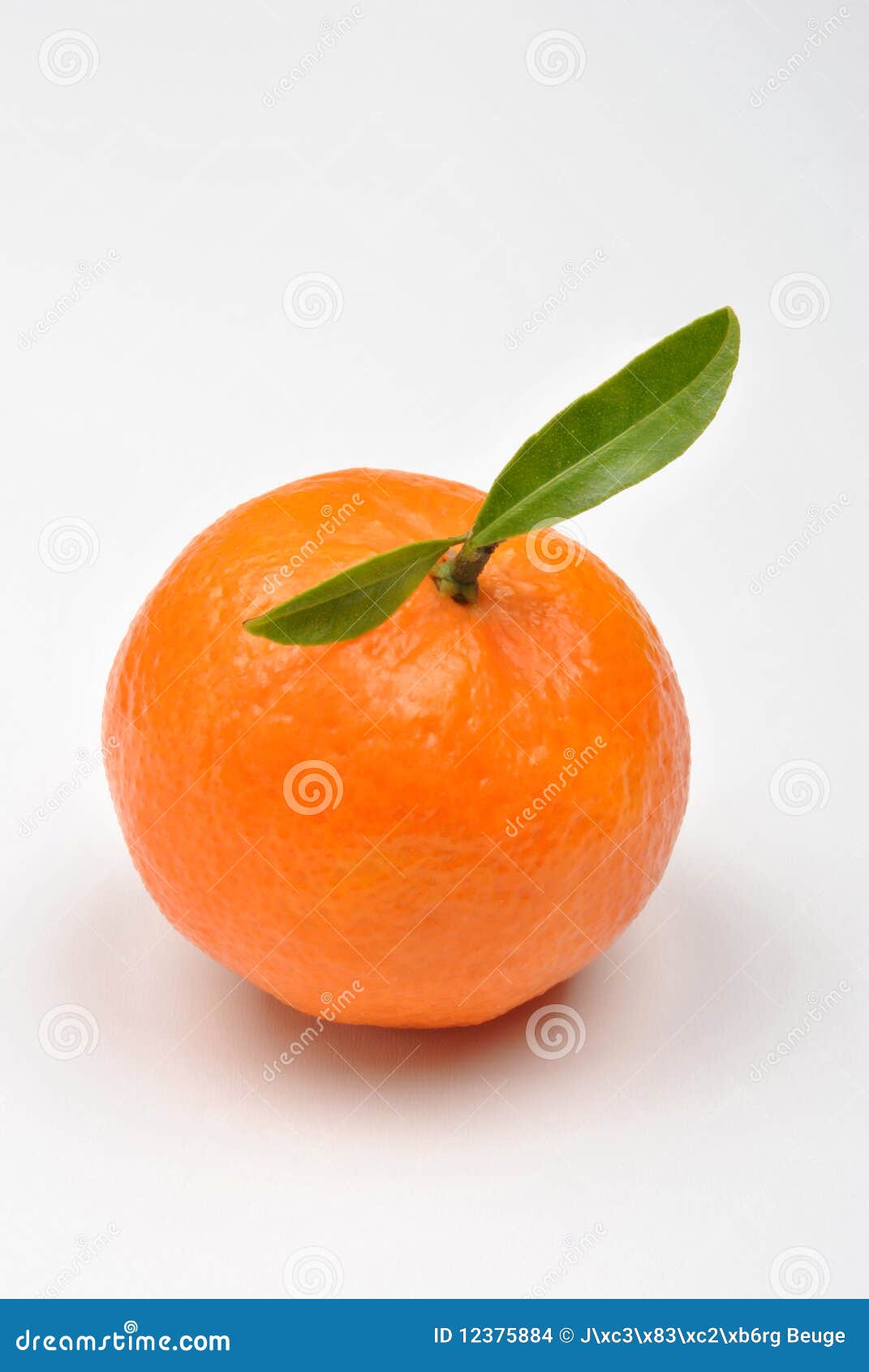 Organic Orange and a White Background Stock Photo - Image of fruit ...