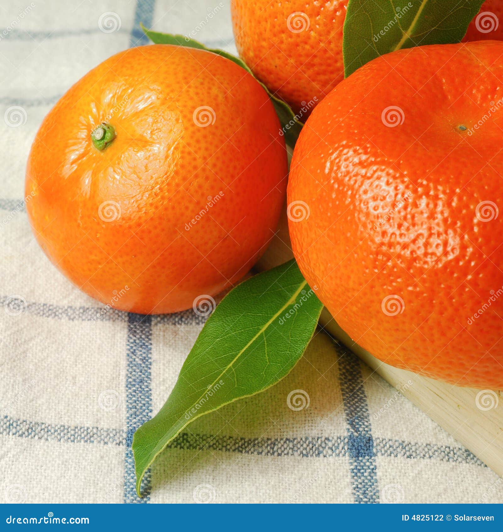 Organic Oranges stock photo. Image of fresh, diet, orange - 4825122
