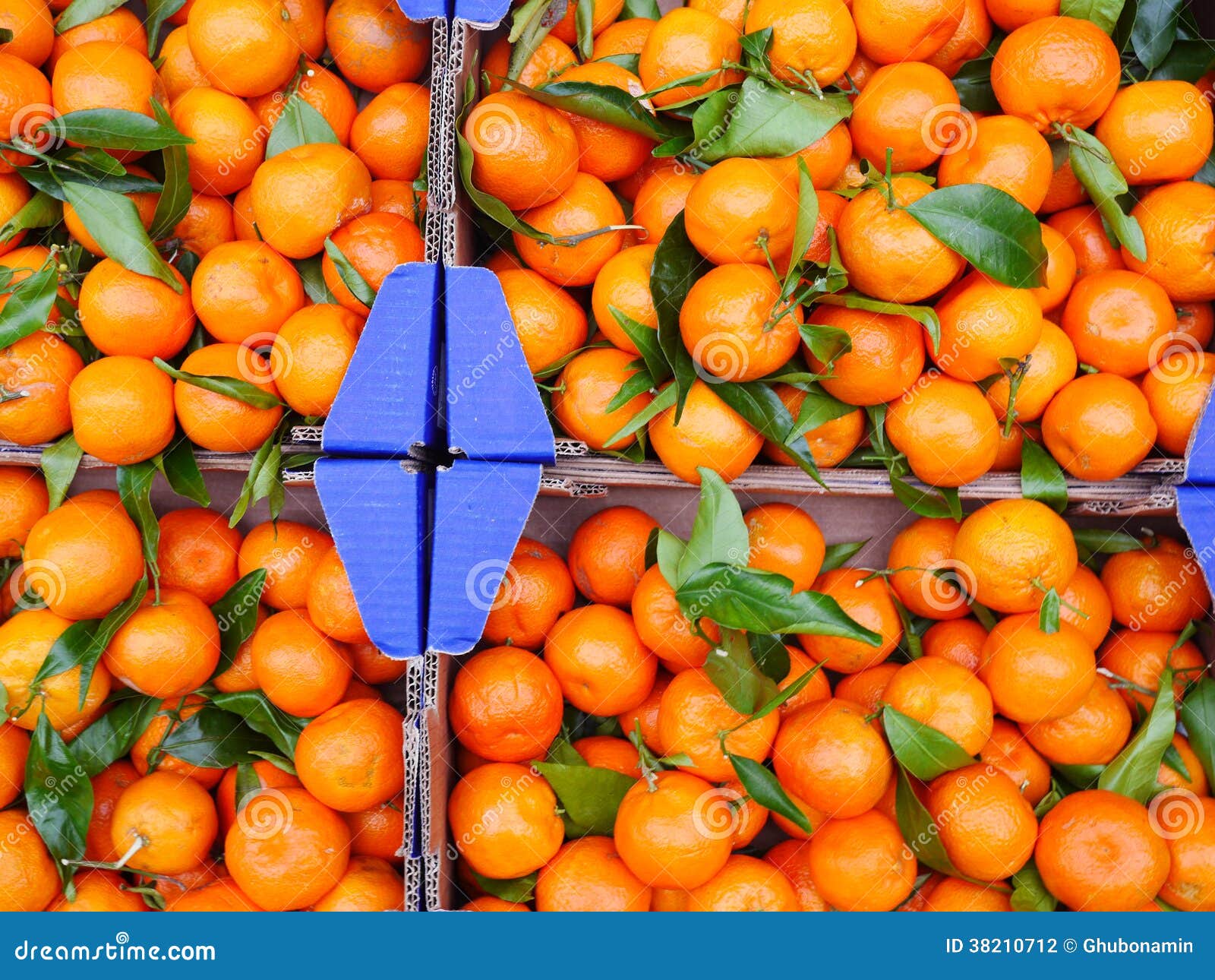 Organic Oranges with Leaves Stock Photo - Image of citrus, tropical ...