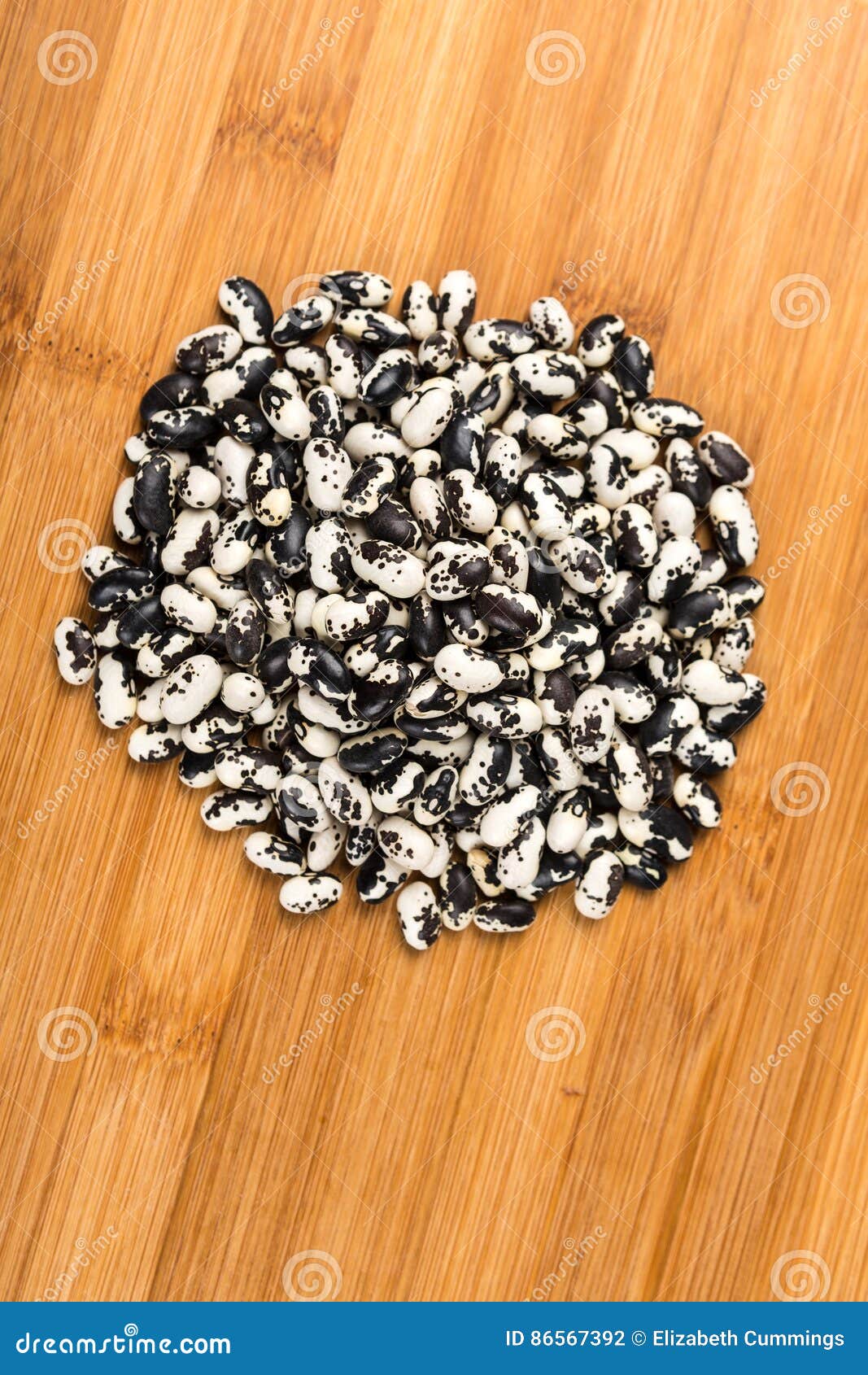Organic orca beans stock photo. Image of protein, natural - 86567392