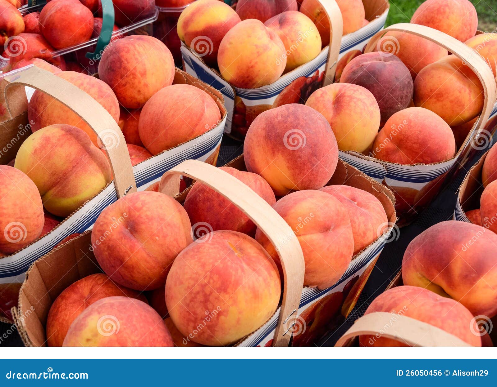 Organic Peaches stock photo. Image of fresh, growers - 26050456