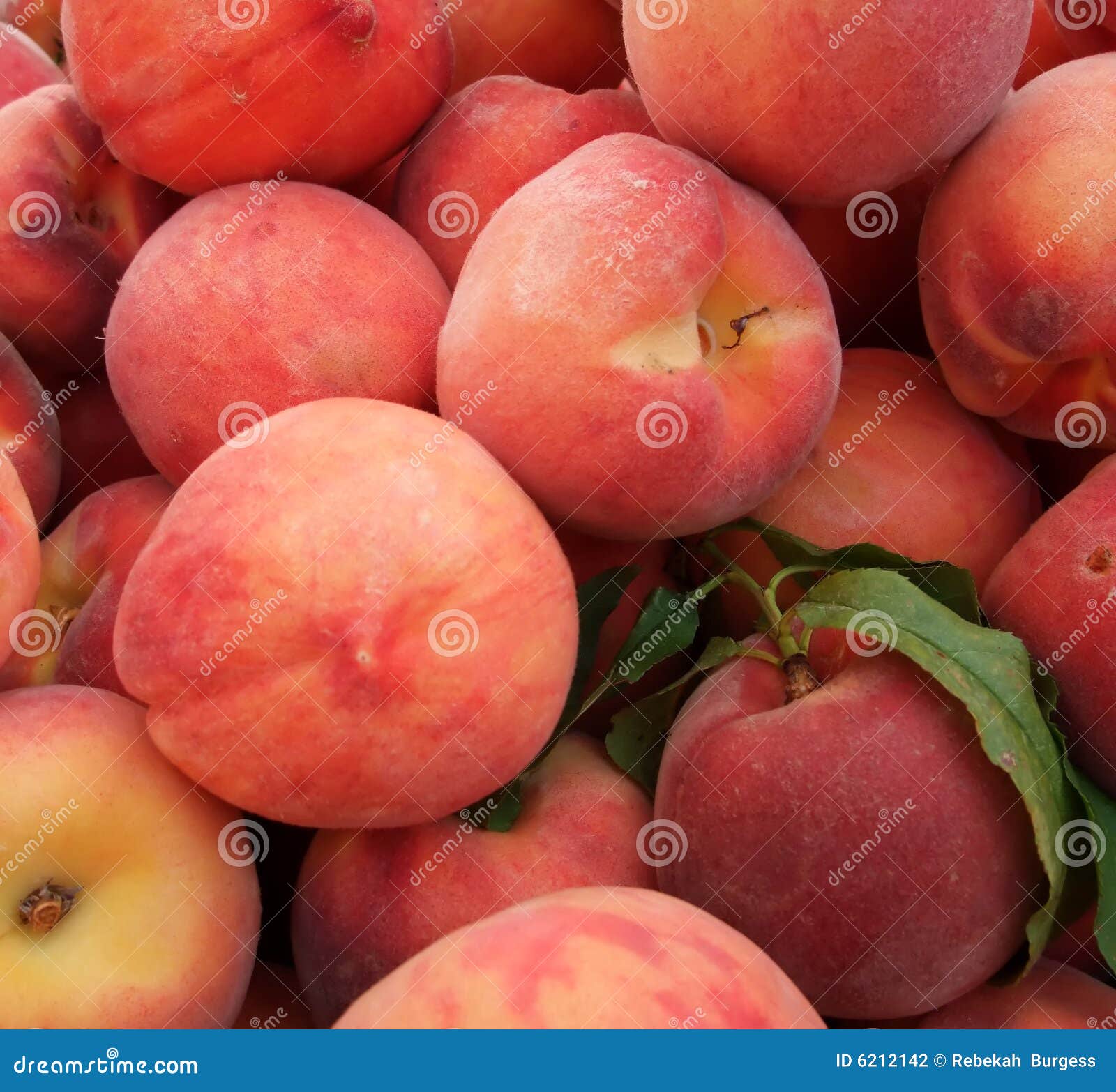 Organic Peaches stock photo. Image of juicy, growth, health - 6212142