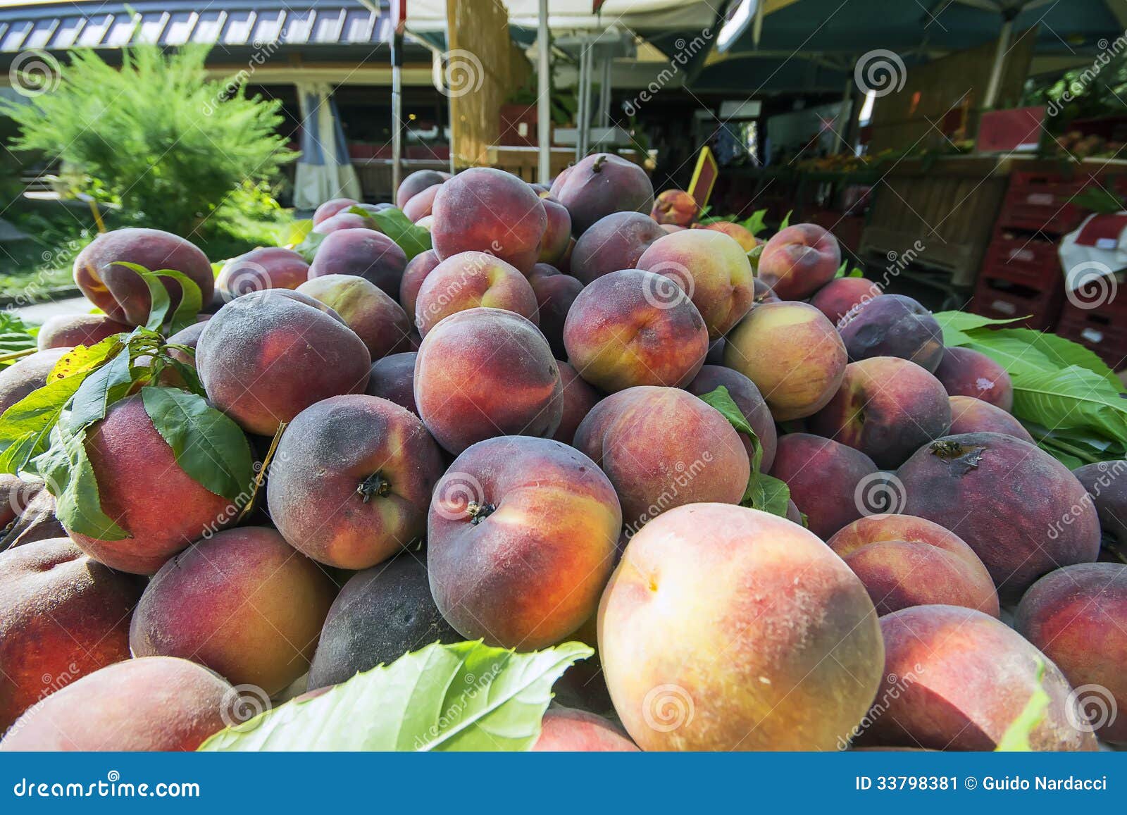 Organic peaches stock image. Image of ripe, juicy, white - 33798381
