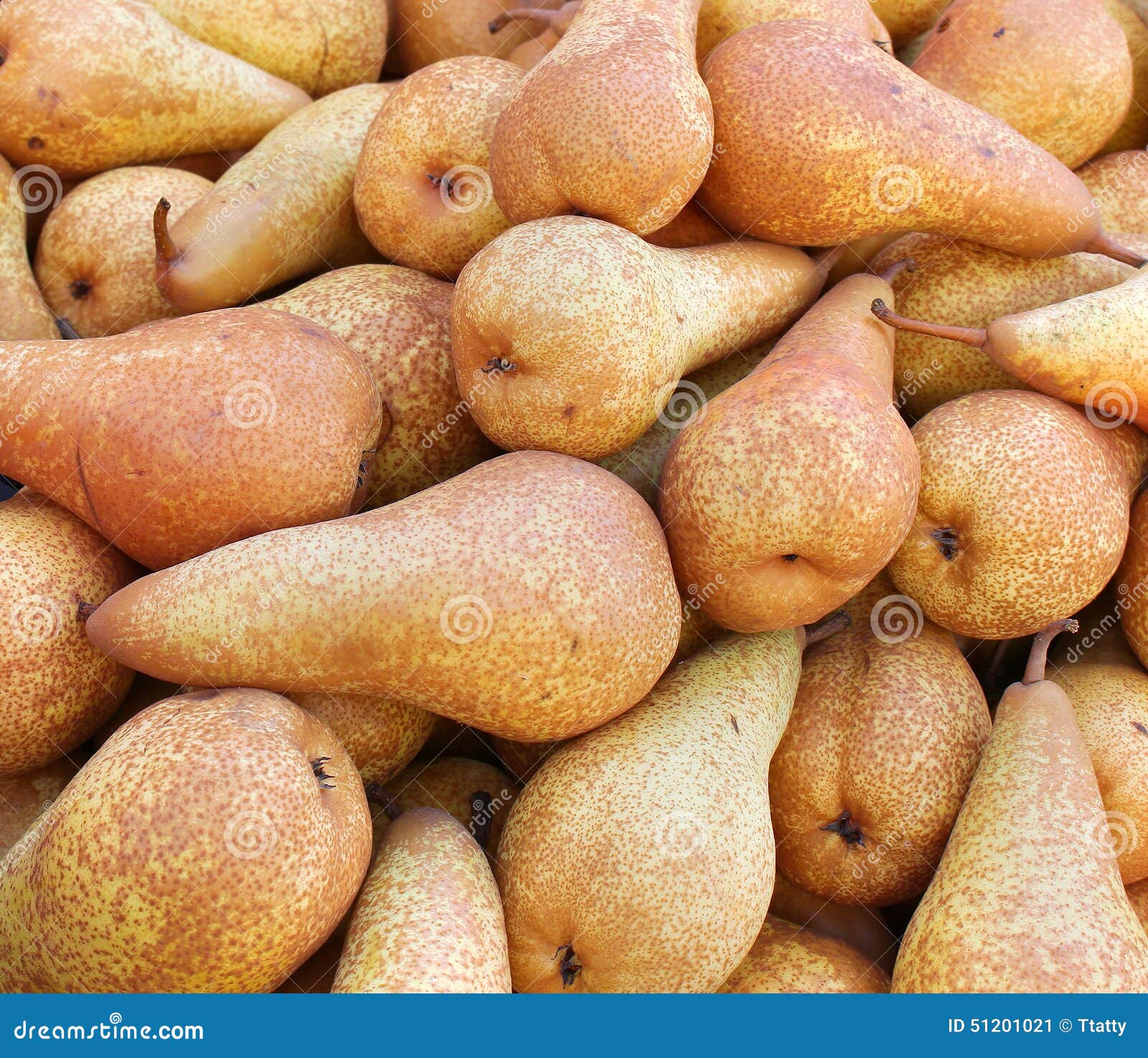 Organic pears stock image. Image of juicy, organic, heap - 51201021