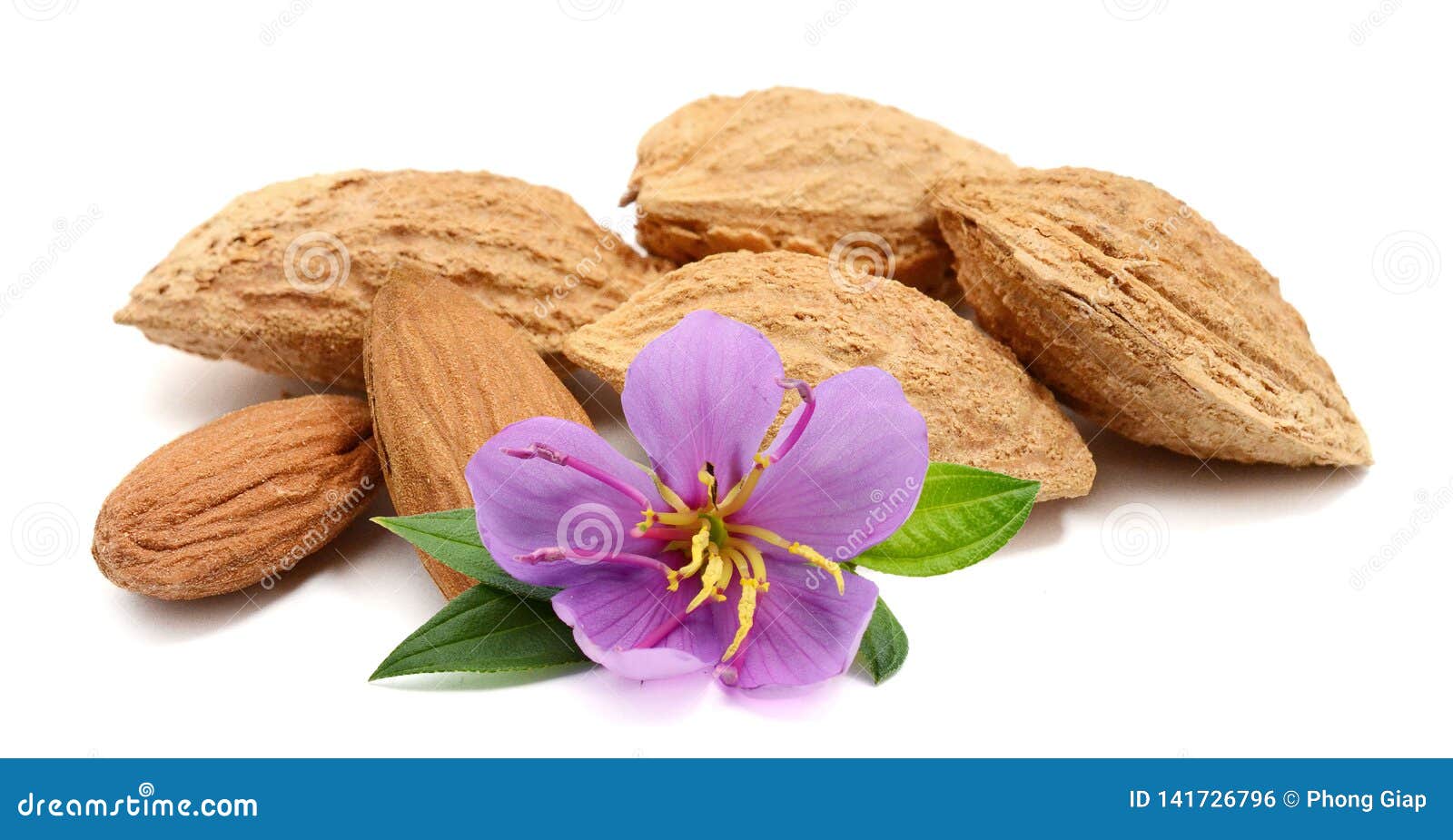 Pile of Peeled and Inshell Almonds. Stock Photo - Image of macro ...