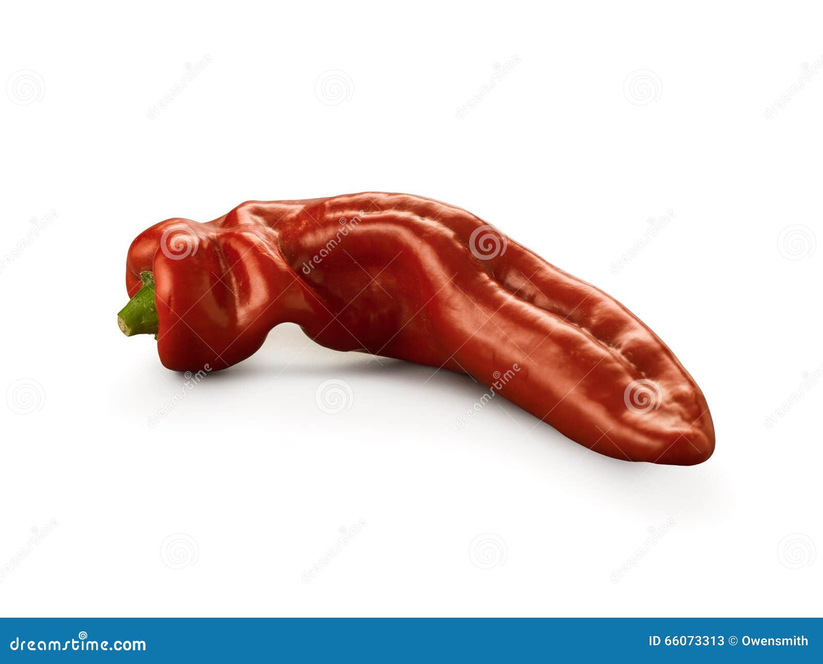 Organic Peppers Romano stock image. Image of isolated - 66073313