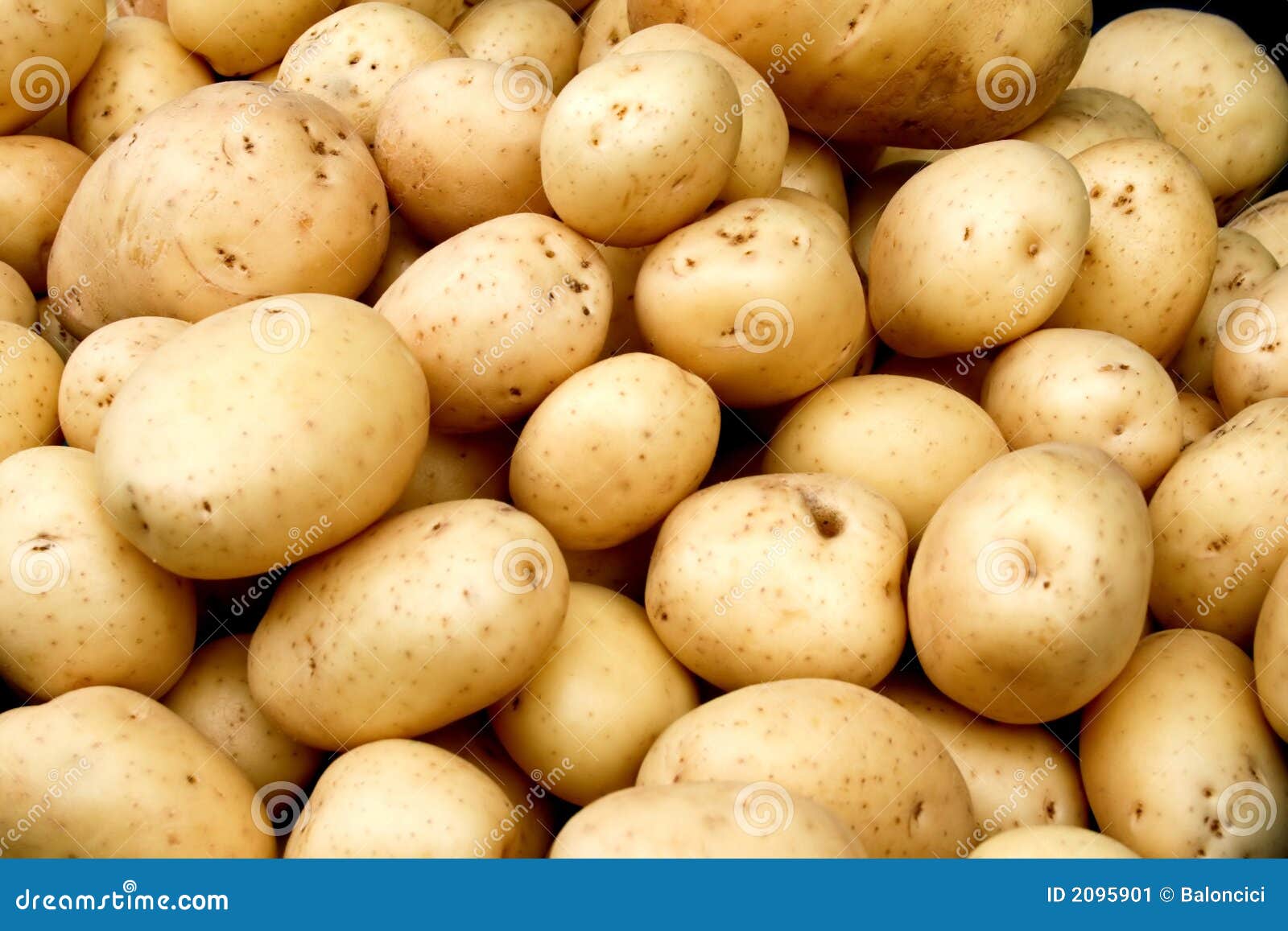 Organic potato stock image. Image of cook, ingredient - 2095901