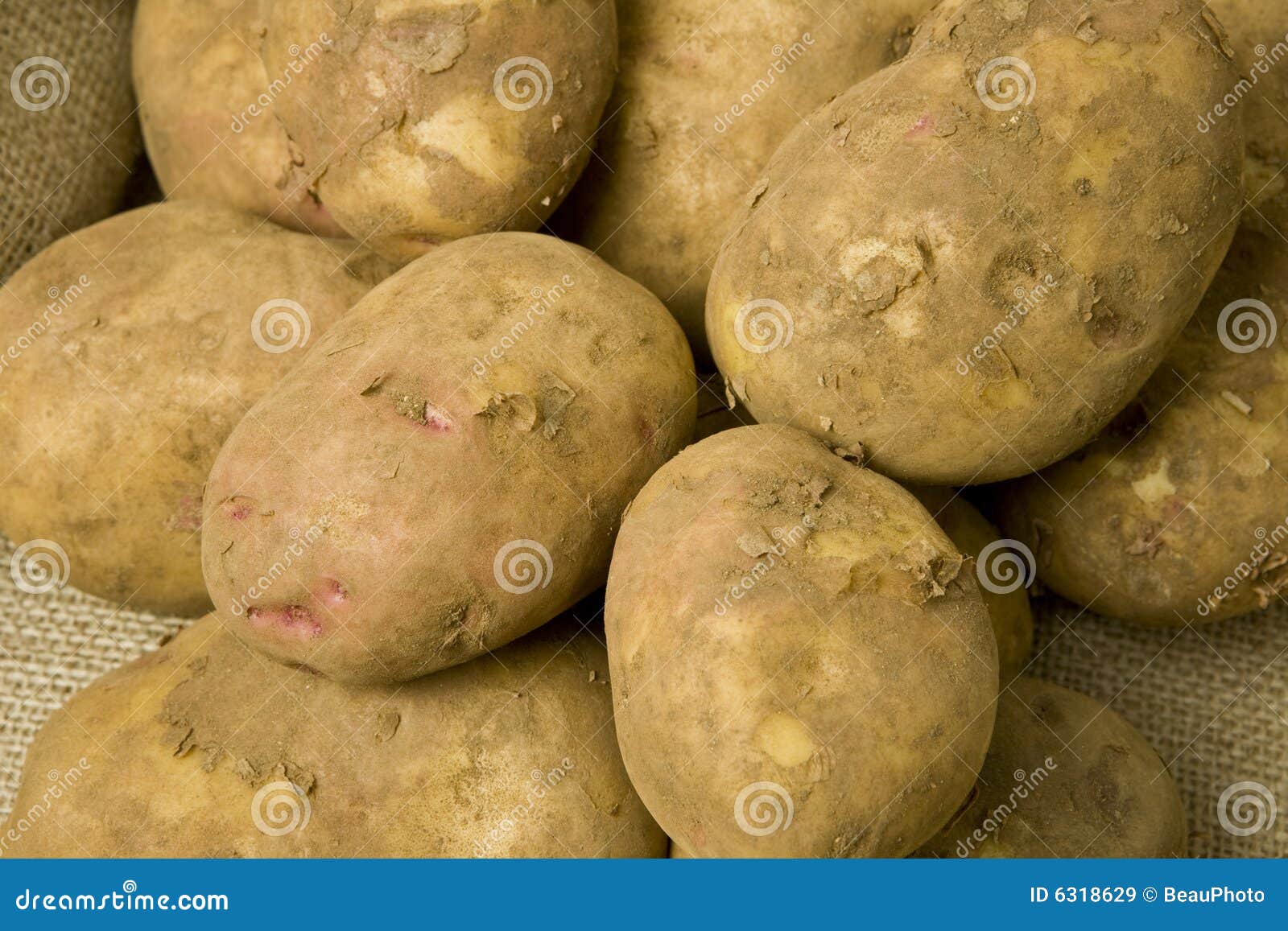 Organic Potatoes stock image. Image of healthy, potato - 6318629