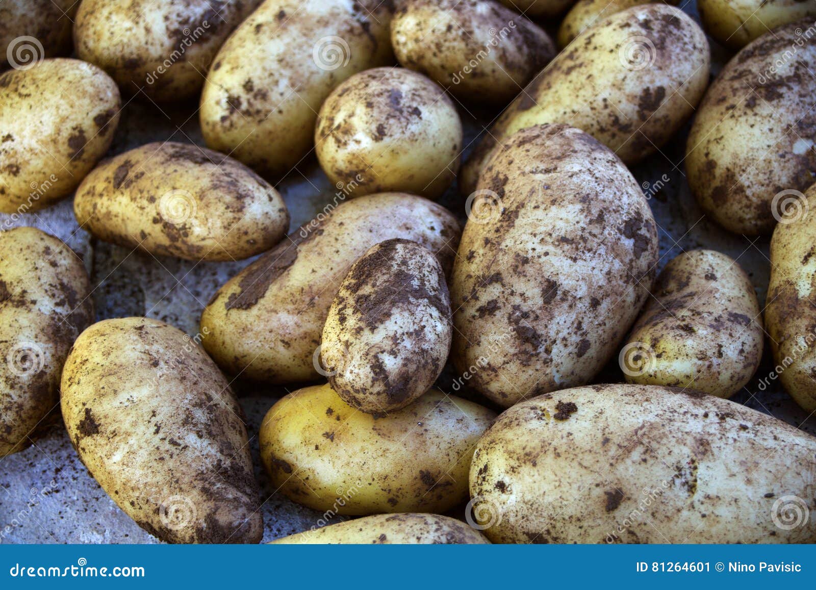 Organic potatoes. stock image. Image of vegetables, food - 81264601