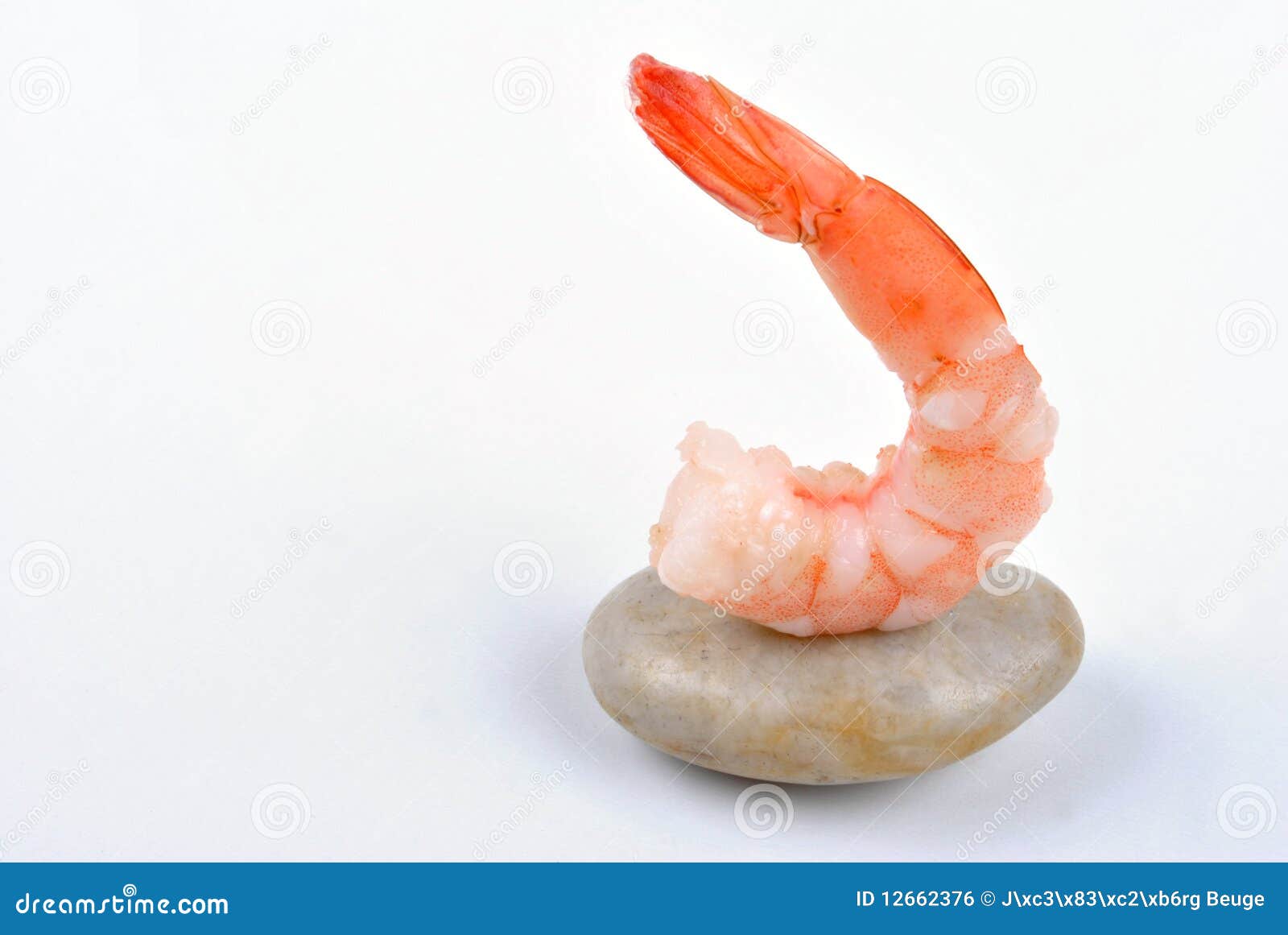 Organic prawn ready to eat stock photo. Image of snack - 12662376