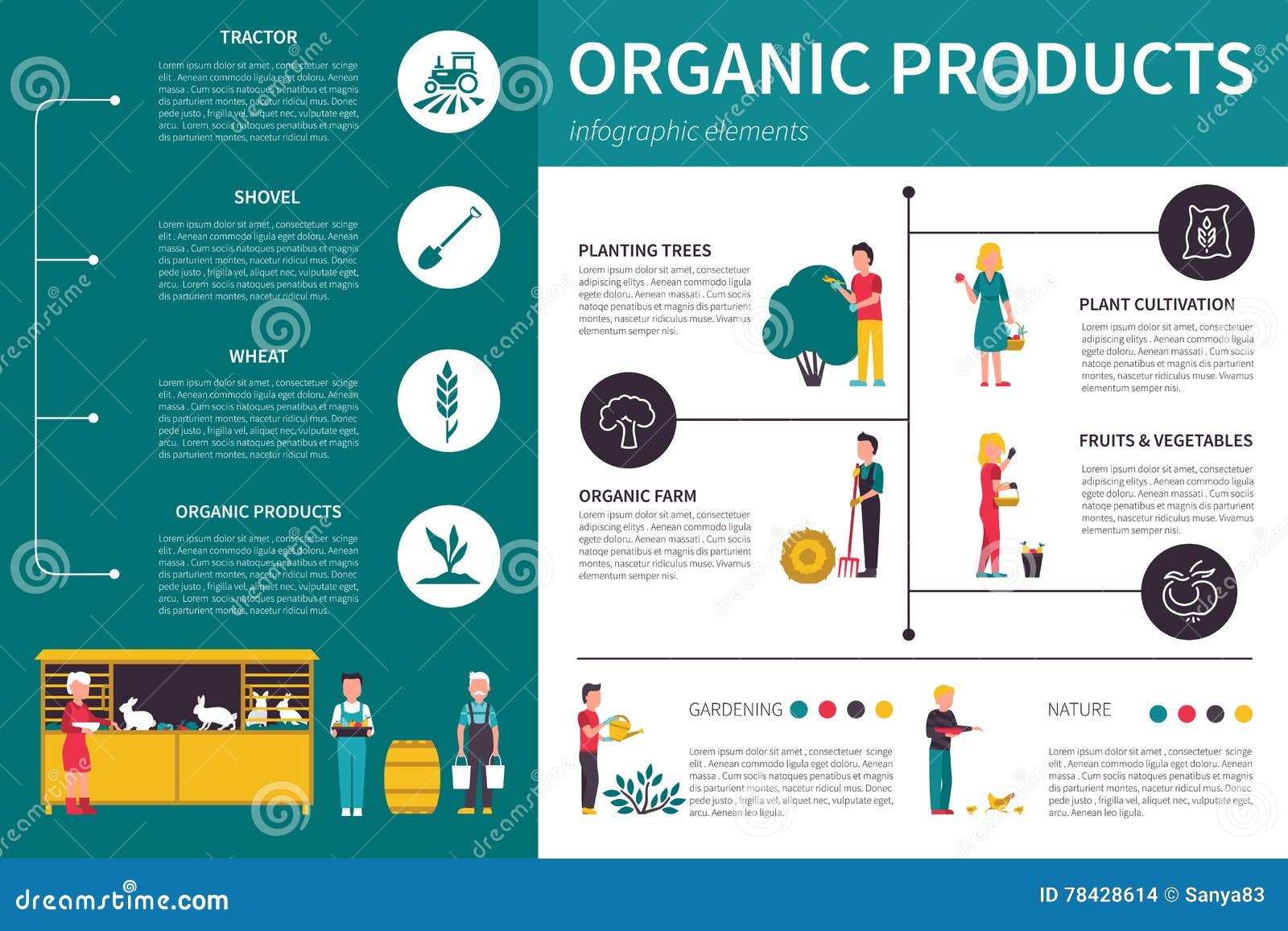 Organic Products Infographic Flat Vector Illustration. Presentation ...