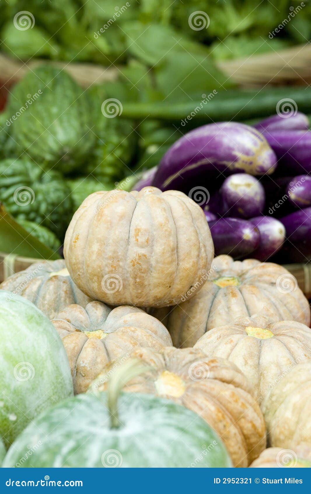 Organic pumpkins stock image. Image of pumpkins, eating - 2952321