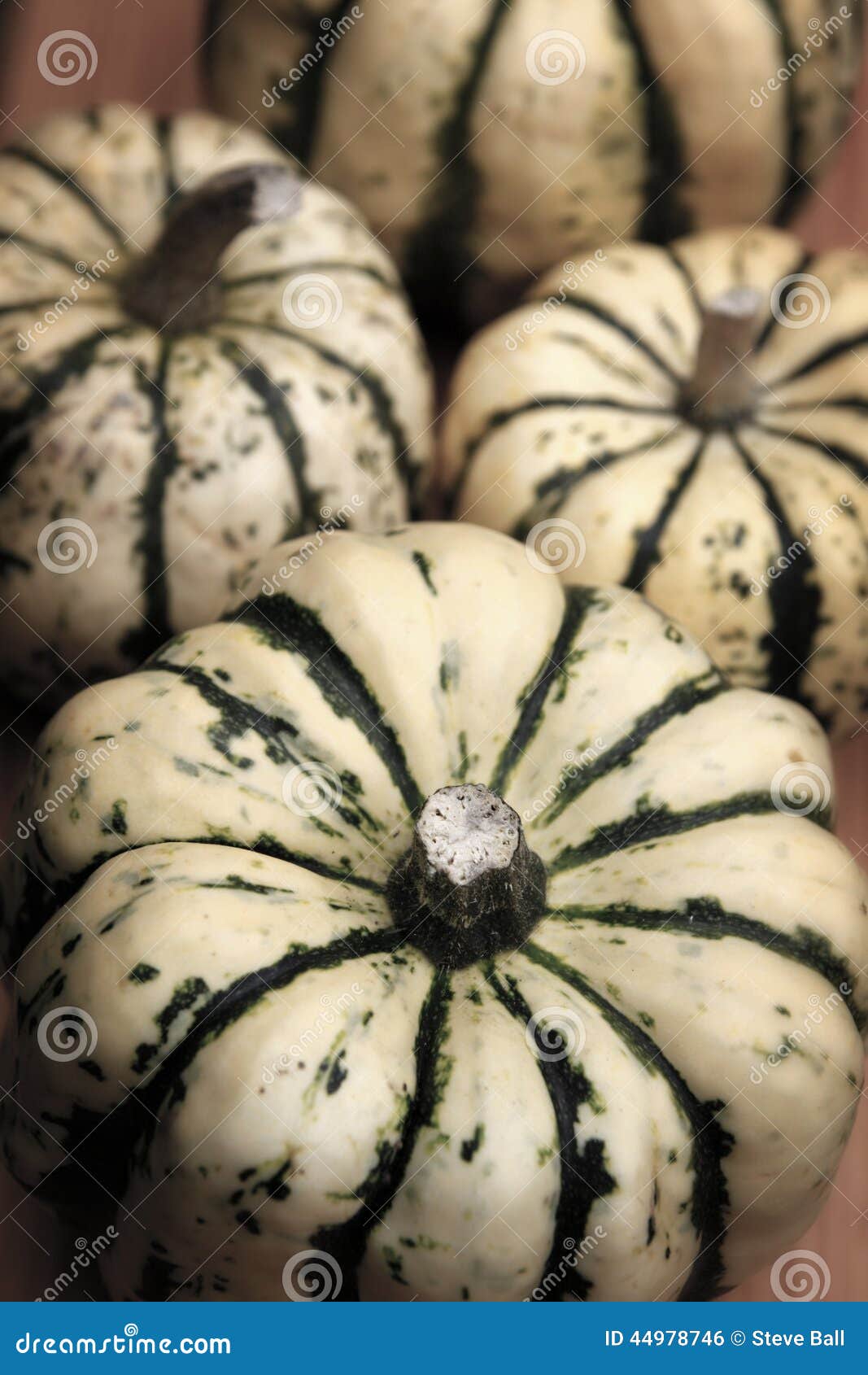 Organic pumpkins stock photo. Image of healthy, festive - 44978746