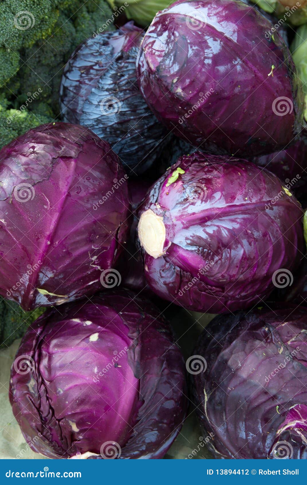 Purple Cabbage On A Farm Stand Royalty-Free Stock Photography ...