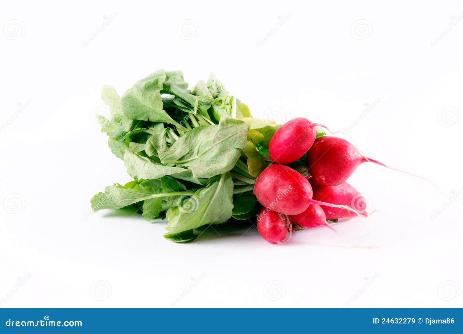 Organic Radishes stock image. Image of organic, bunch - 24632279