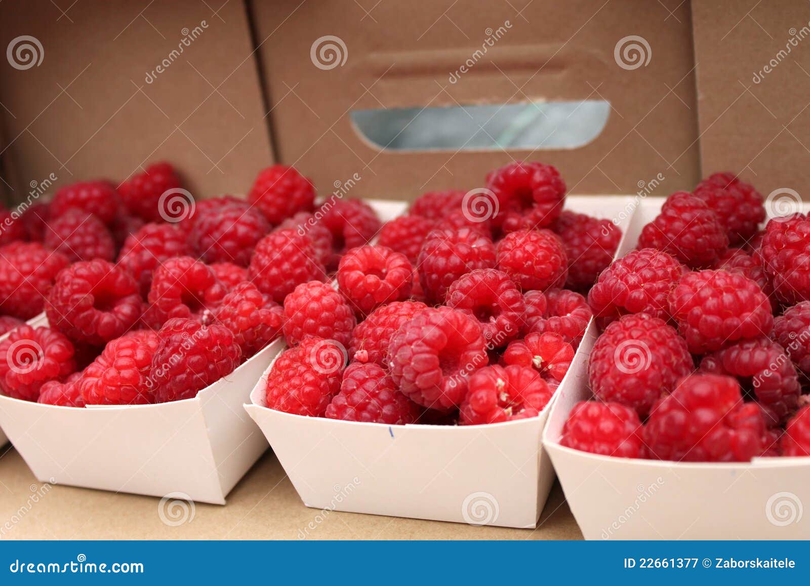Organic raspberries stock image. Image of healthy, source - 22661377