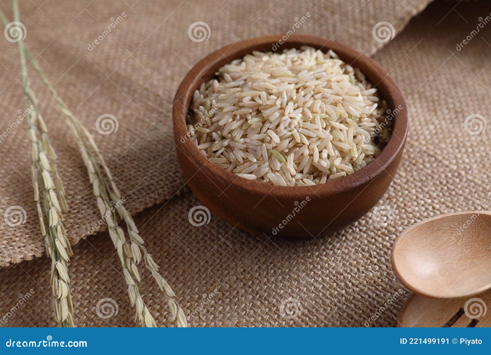 Organic Raw Brown Rice in Close Up Stock Image - Image of healthy ...