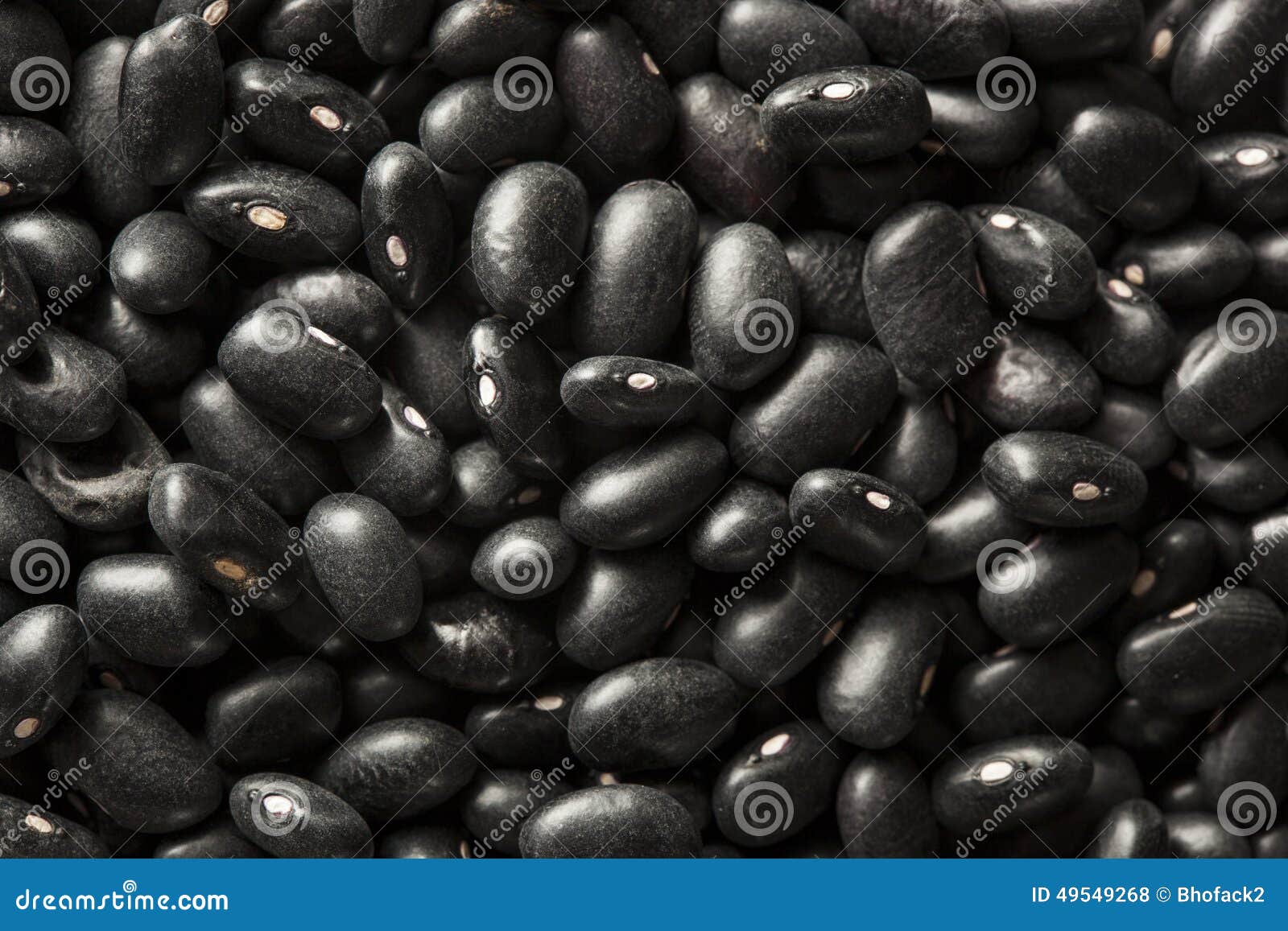 Organic Raw Dry Black Beans Stock Photo - Image of uncooked, dried ...