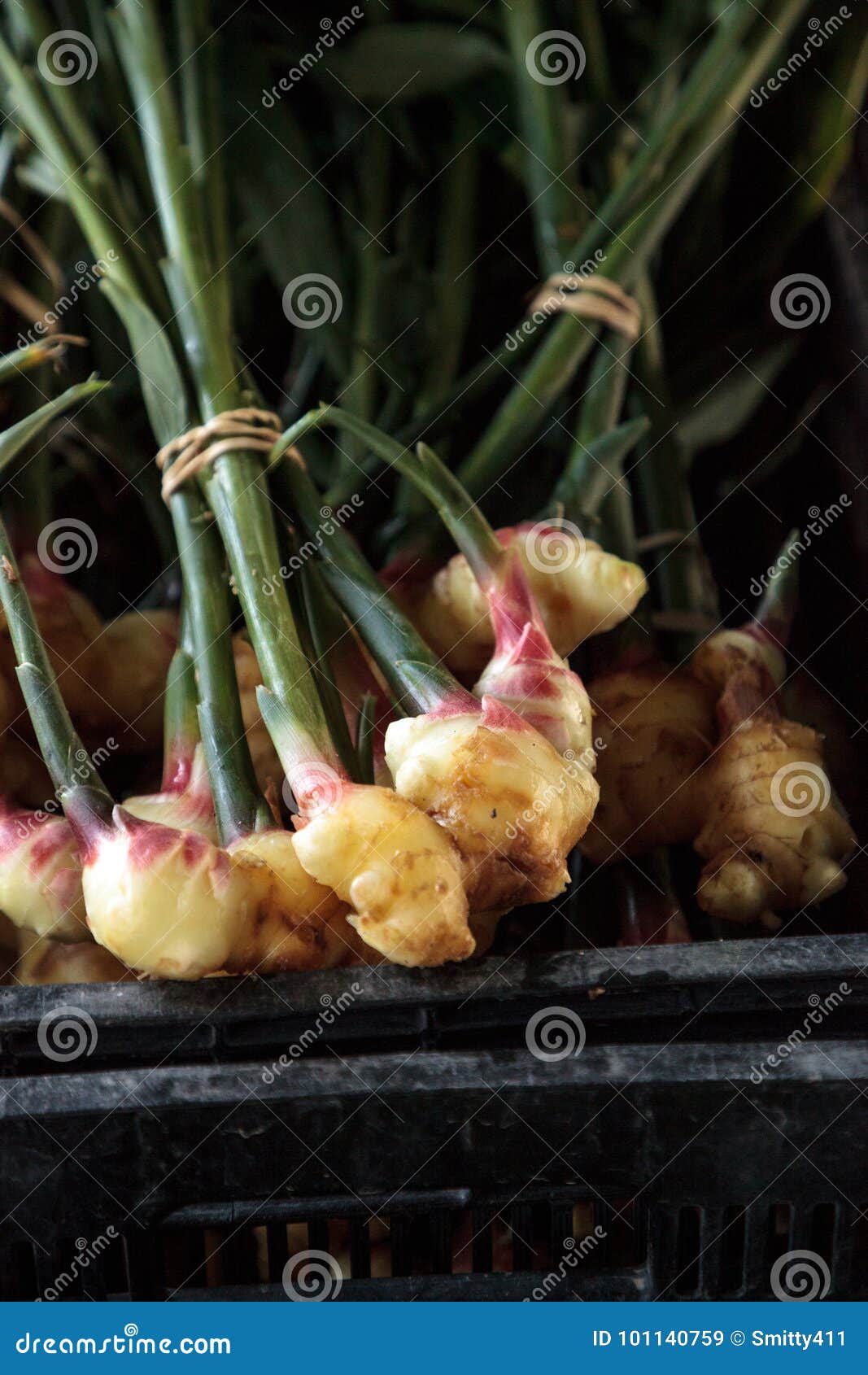 Organic raw ginger root stock image. Image of farm, ginger - 101140759