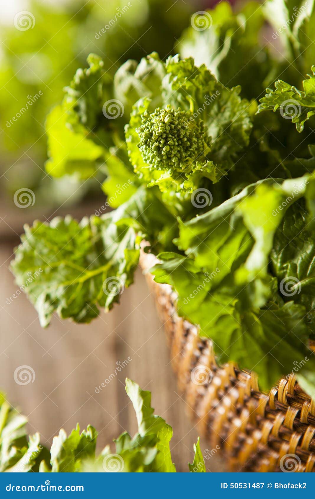 Organic Raw Green Broccoli Rabe Rapini Stock Image - Image of rapa ...