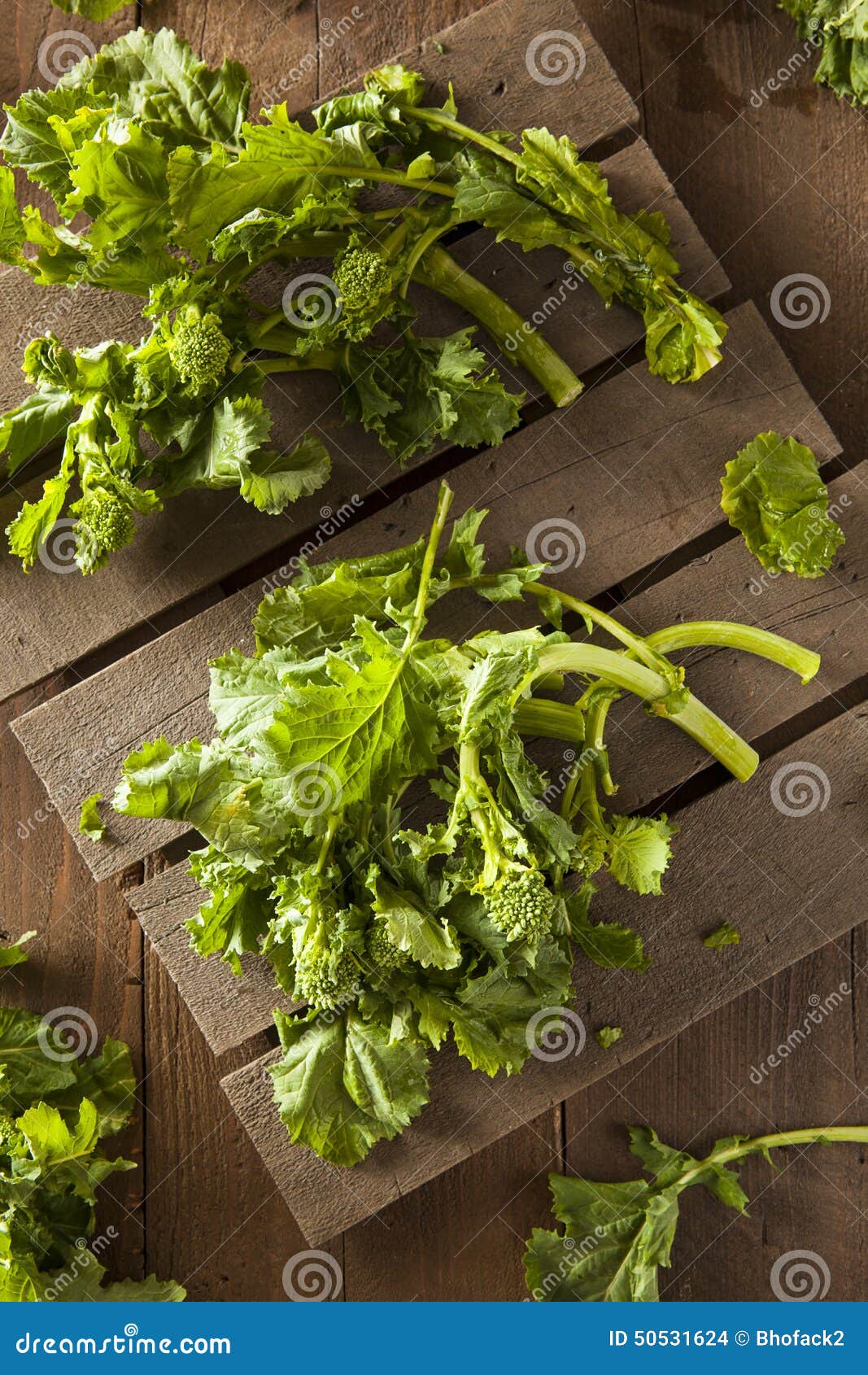 Organic Raw Green Broccoli Rabe Rapini Stock Photo - Image of diet ...