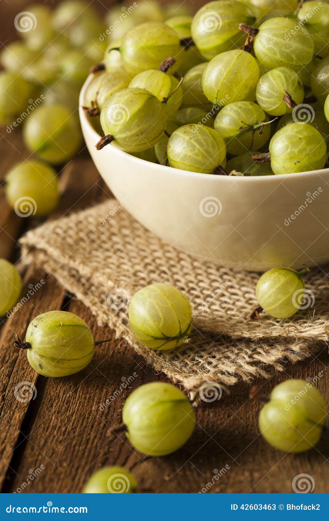 Organic Raw Green Gooseberries Stock Image - Image of gooseberry ...