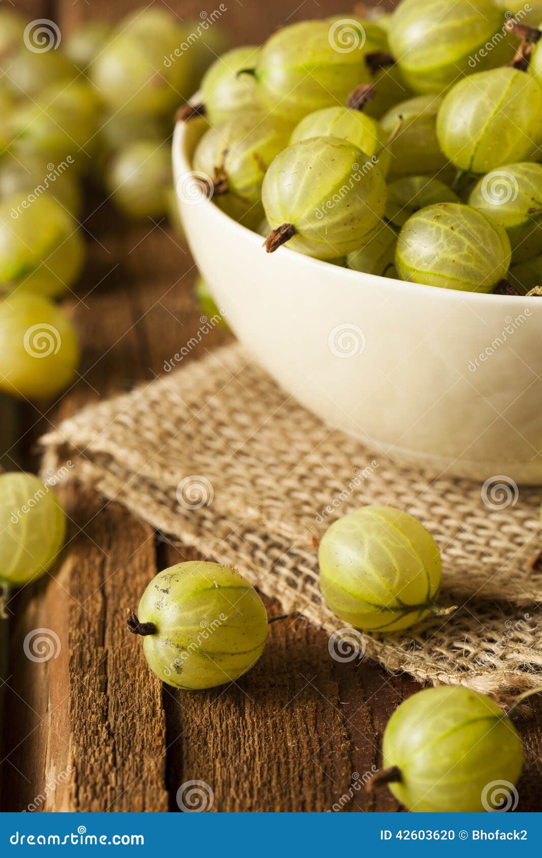 Organic Raw Green Gooseberries Stock Photo - Image of ripe, vegetarian ...