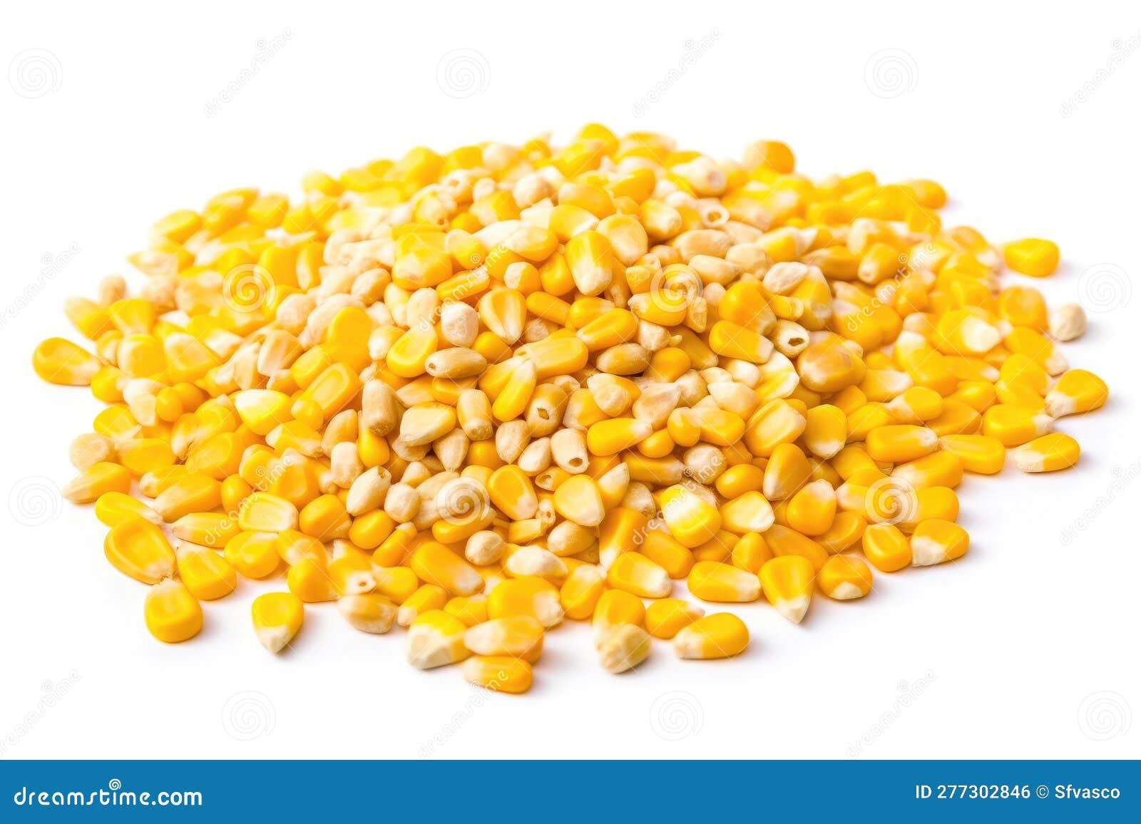 Organic Raw Maize Corn Grain Pile on White Background Isolated ...