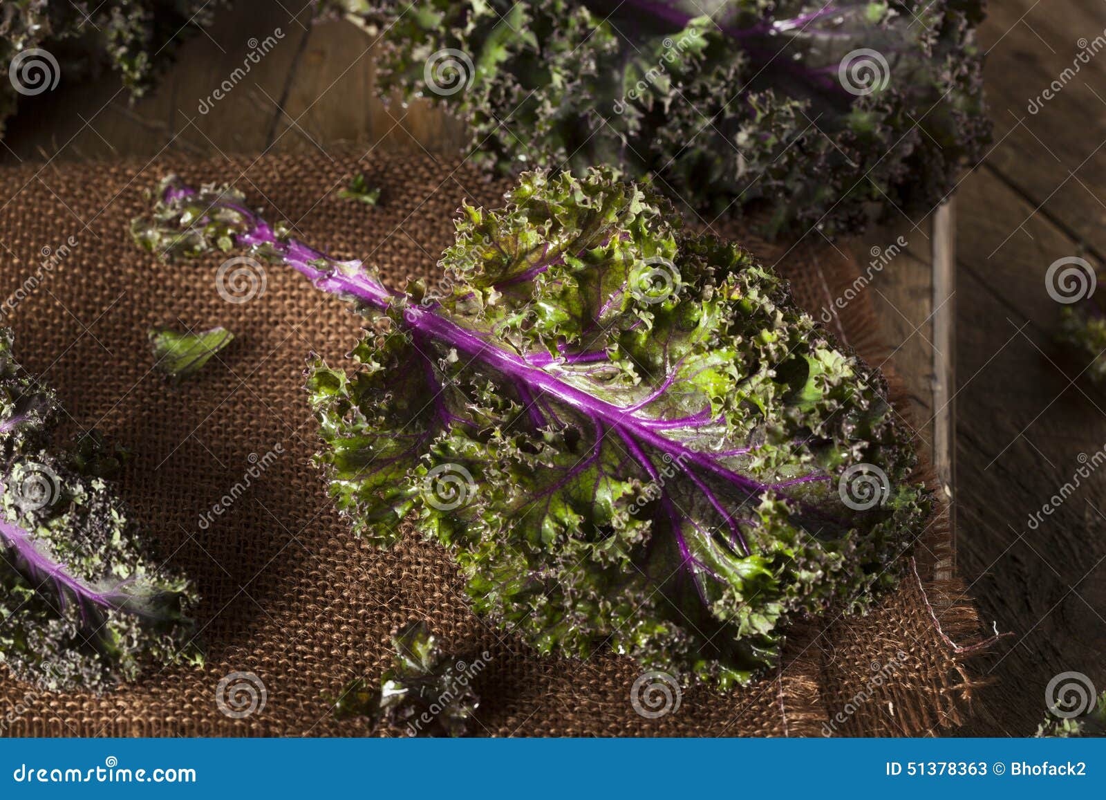 Organic Raw Red Kale stock image. Image of green, tasty - 51378363